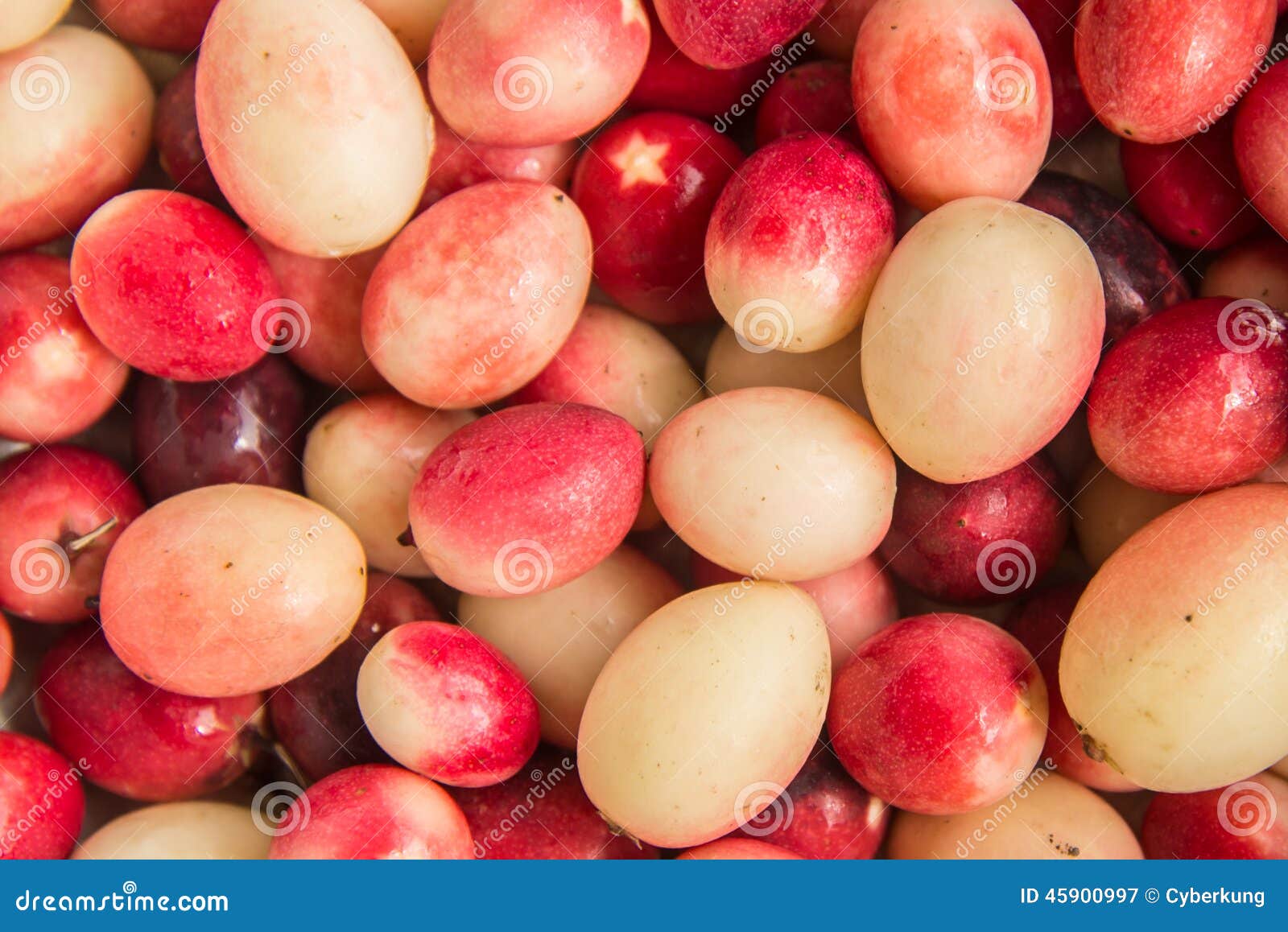 Karanda fruit stock image. Image of tropical, asia, colour - 45900997