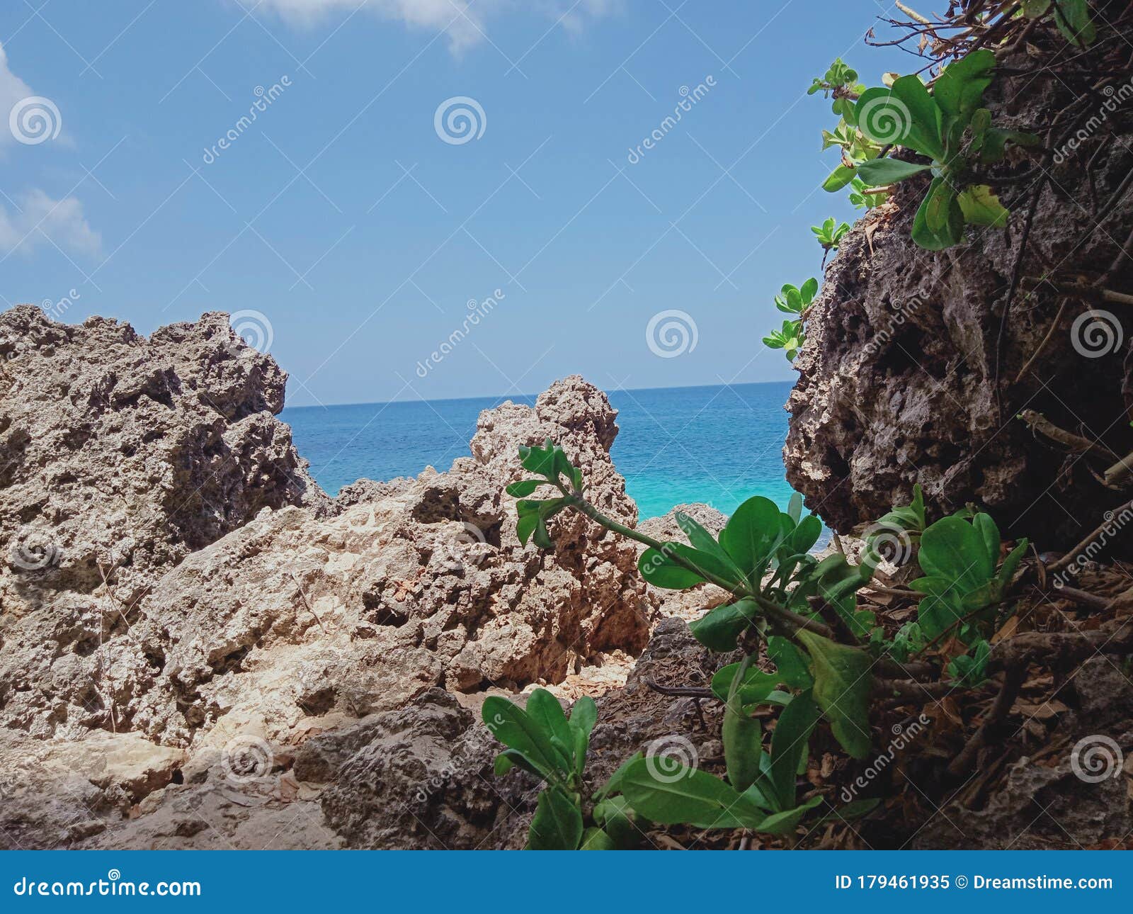 Karang stock image. Image of terrain, jungle, cove, tree - 179461935
