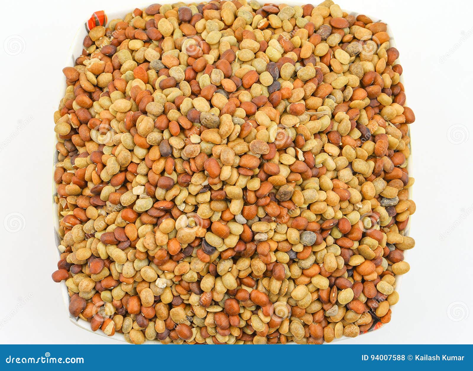Karat seeds stock photo. Image of kalt, asian, isolate - 94007588