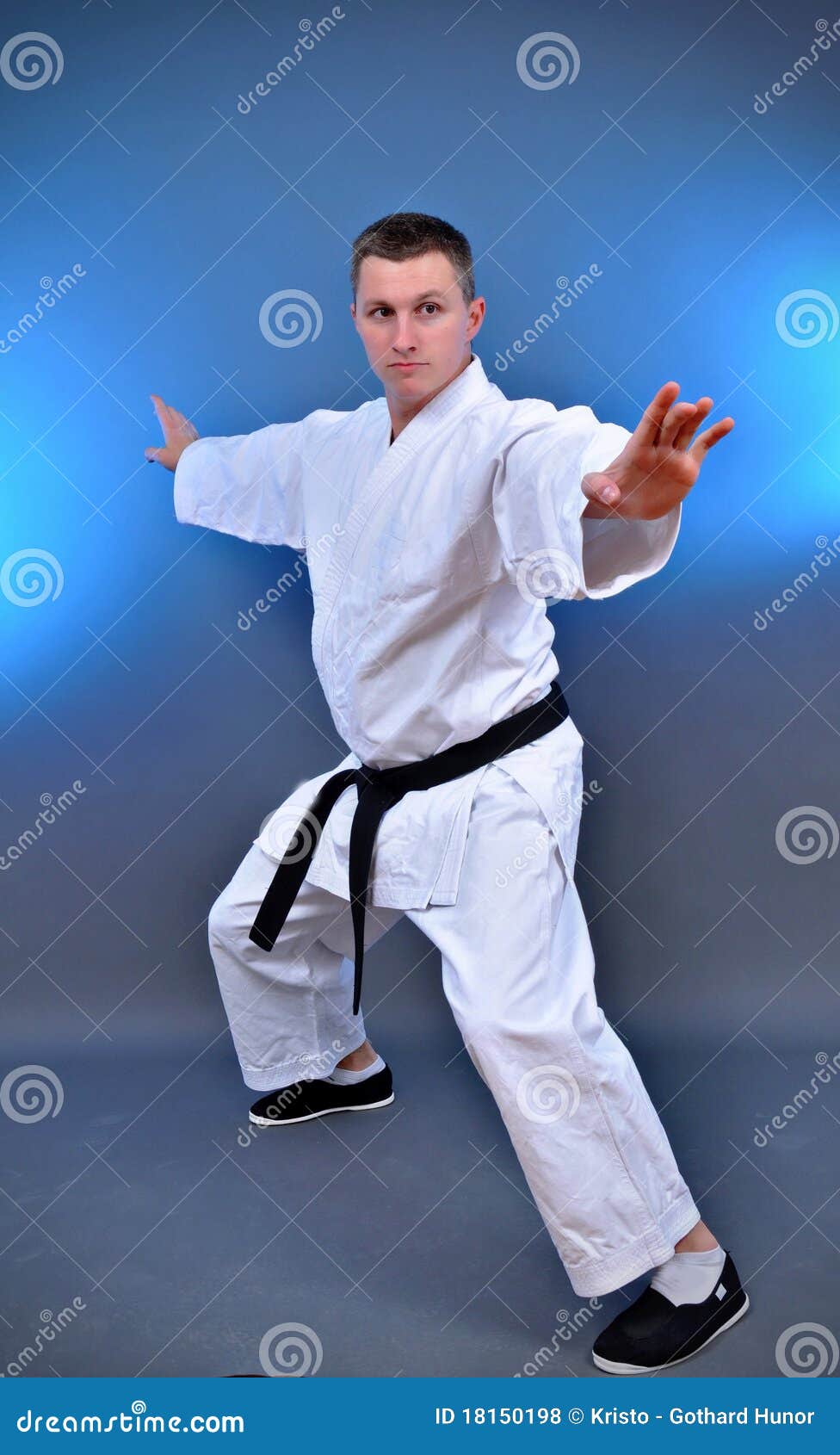 Karate stock photo. Image of handsome, fresh, power, back - 18150198