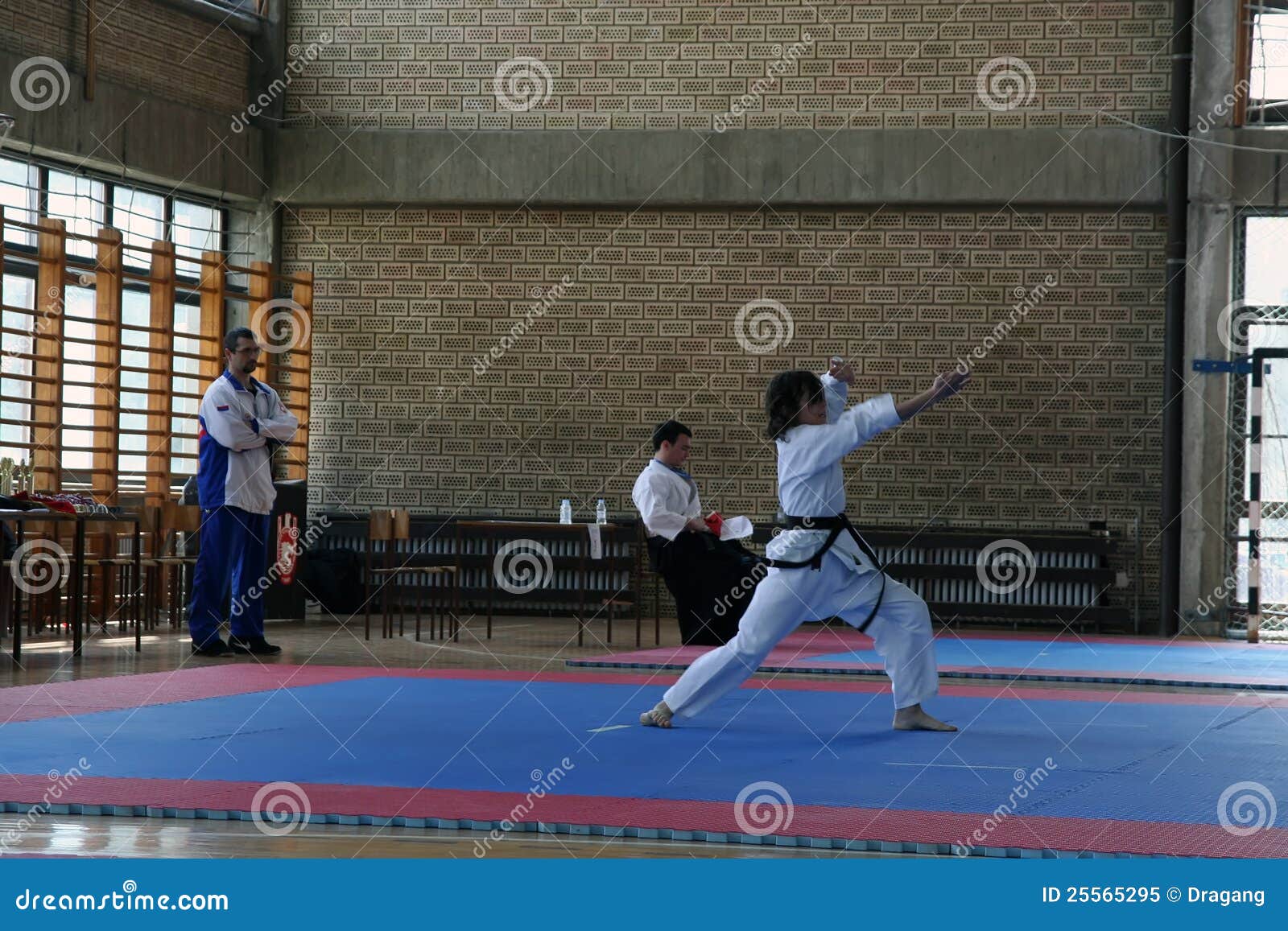 Karate editorial image. Image of kung, hall, defense - 25565295