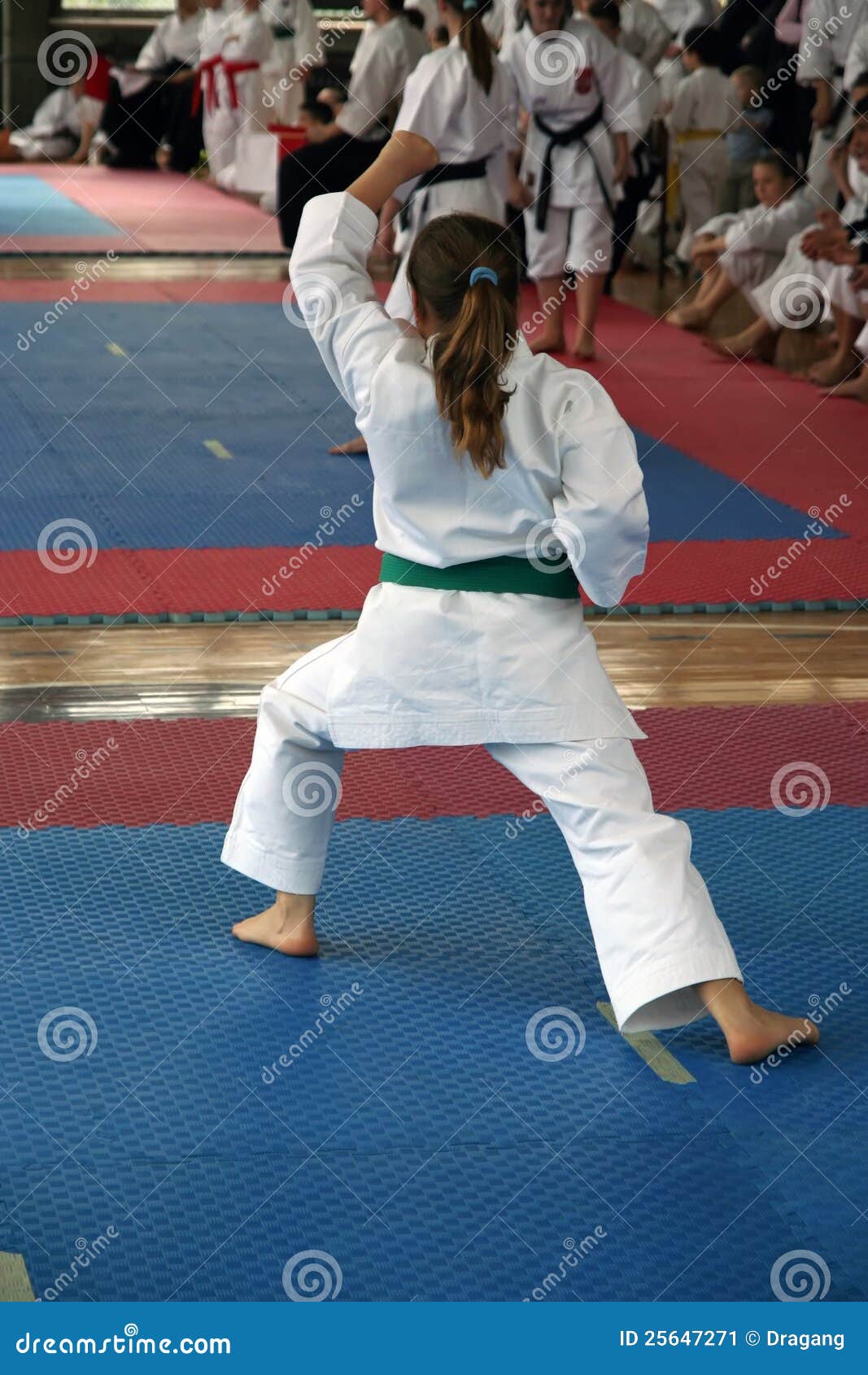 Karate redaktionelles foto. Bild von lebensstil, kampf - 25647271