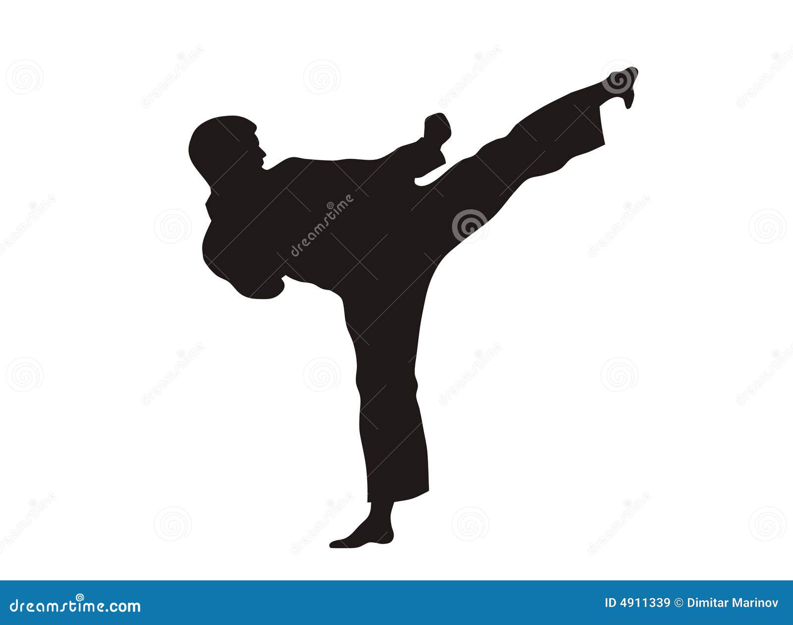 Karate stock vector. Illustration of japan, fighter, fight - 4911339