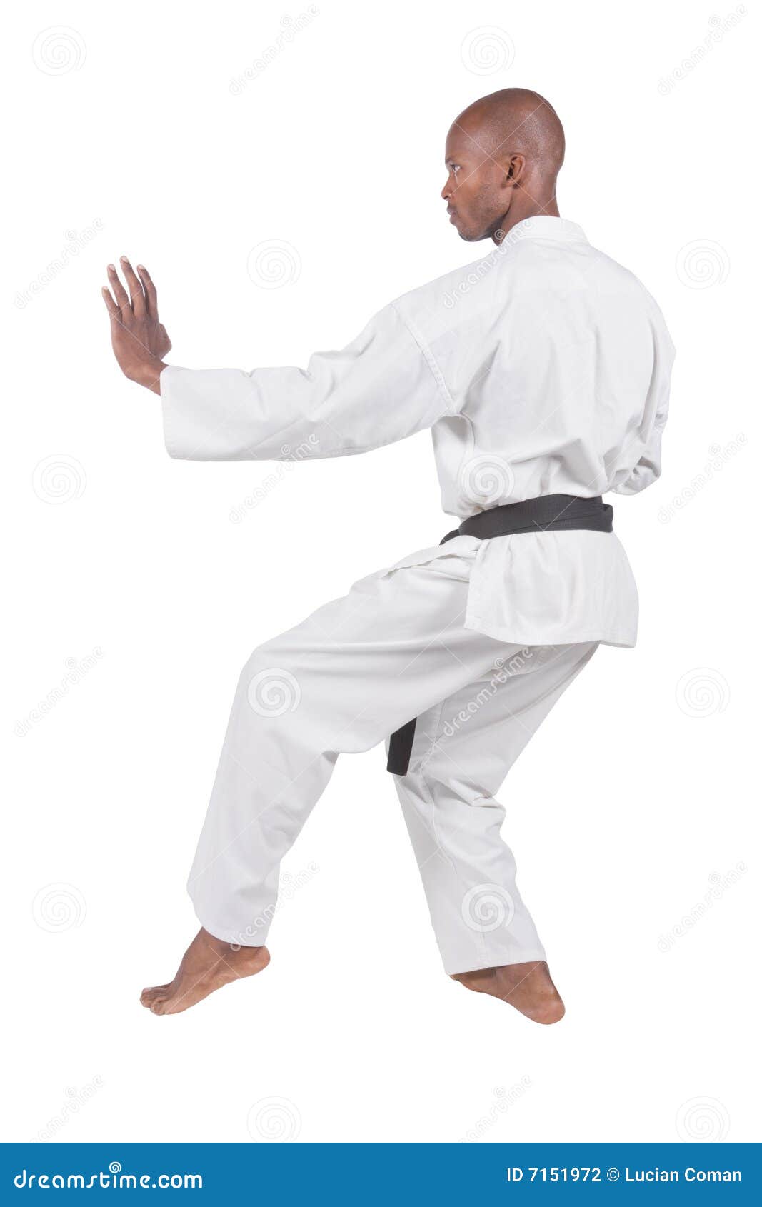Karate stock photo. Image of posture, person, male, karate - 7151972