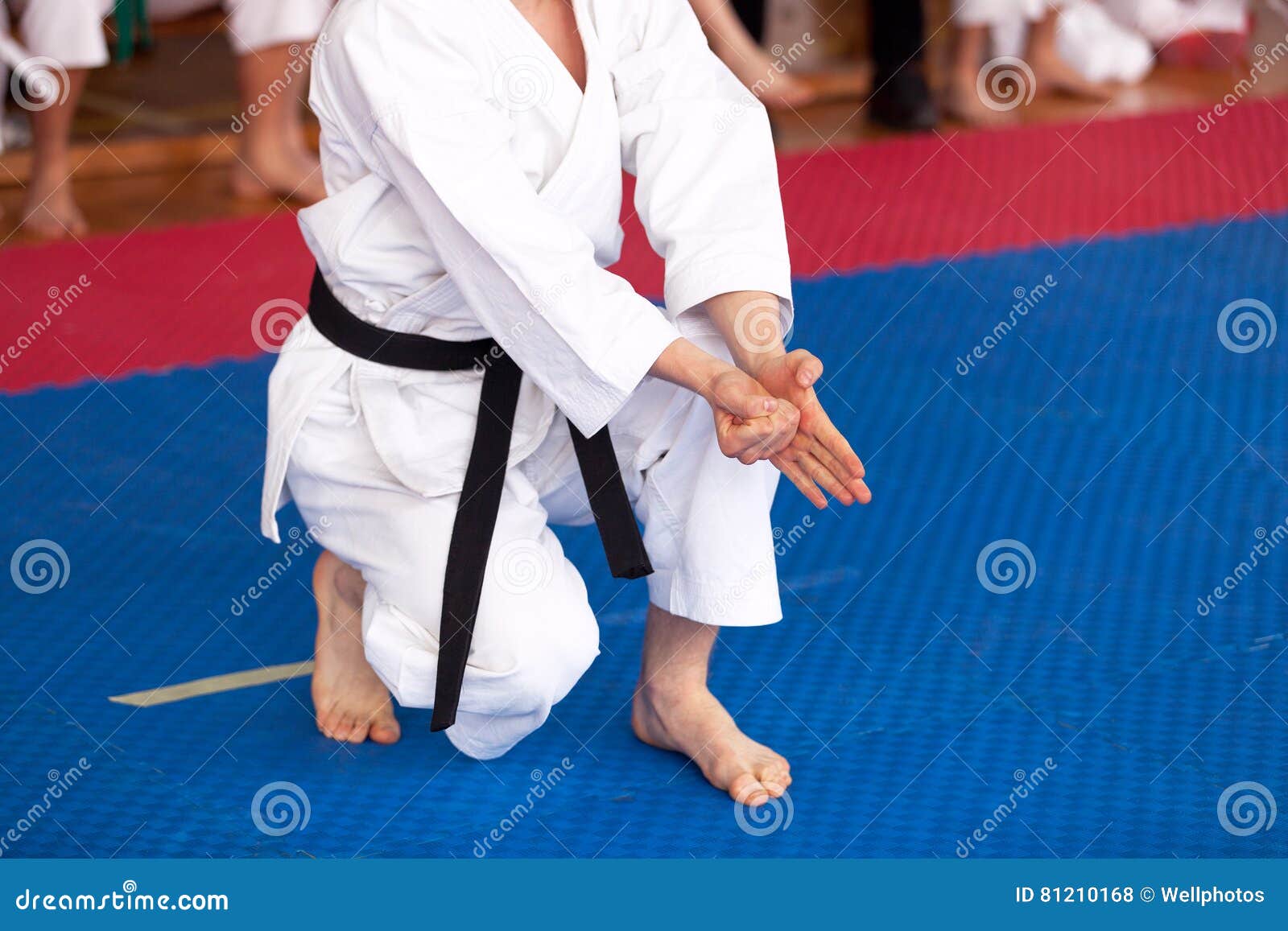 Karate foto de archivo. Imagen de éxito, mano, fuerza - 81210168