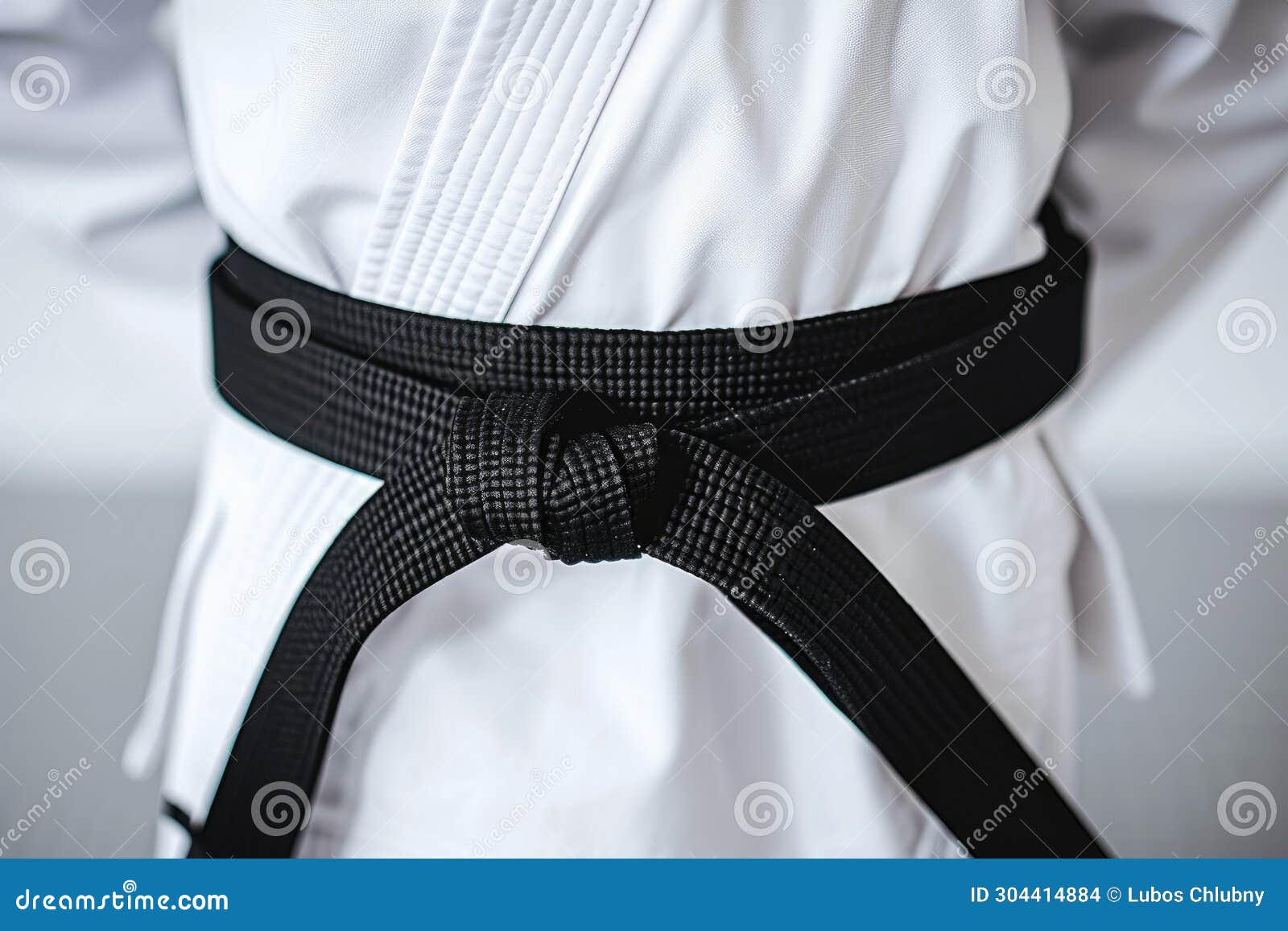 Karate Black Silhouette Vector Illustration | CartoonDealer.com #79677908
