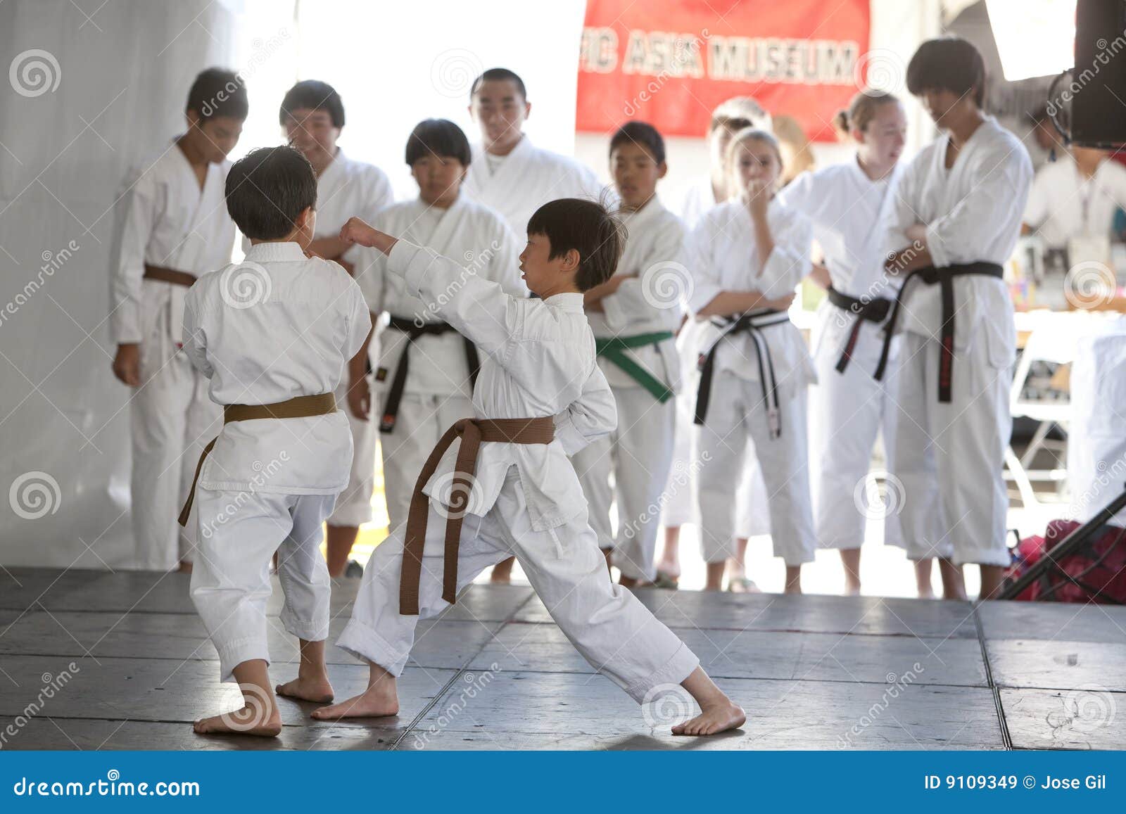 Karate Demonstration editorial stock image. Image of martial - 9109349