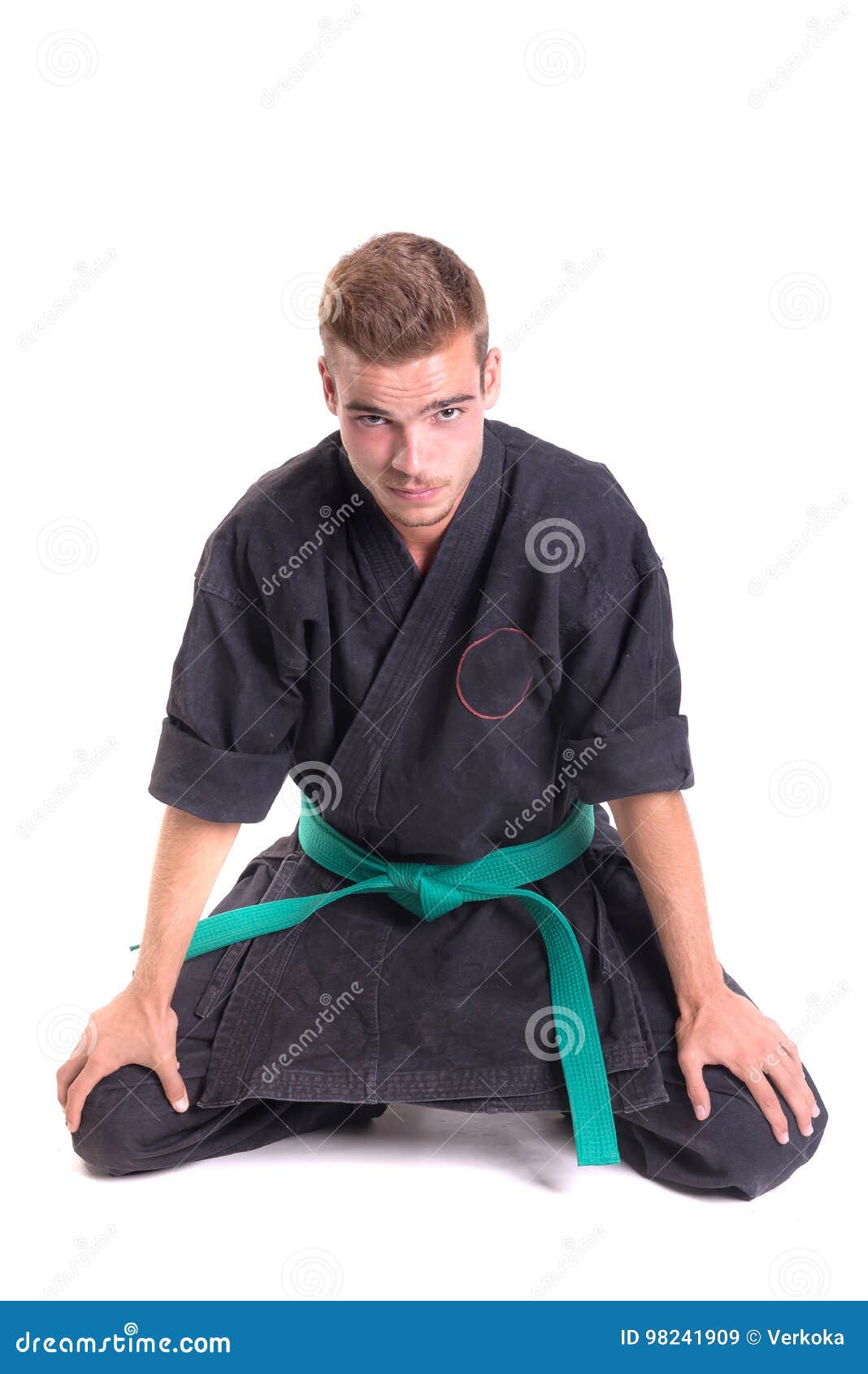 Karate fighter posing stock image. Image of judo, fight - 98241909
