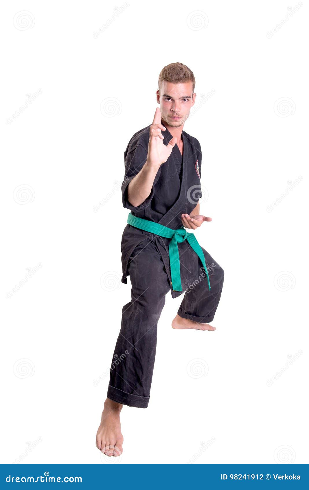 Karate fighter posing stock photo. Image of adult, background - 98241912