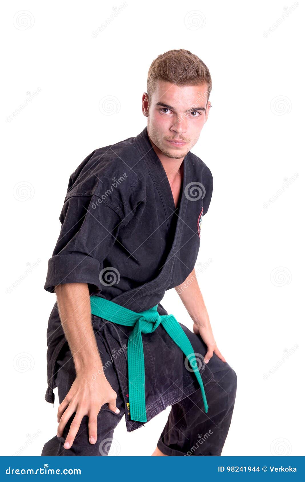 Karate fighter posing stock photo. Image of healthy, judo - 98241944