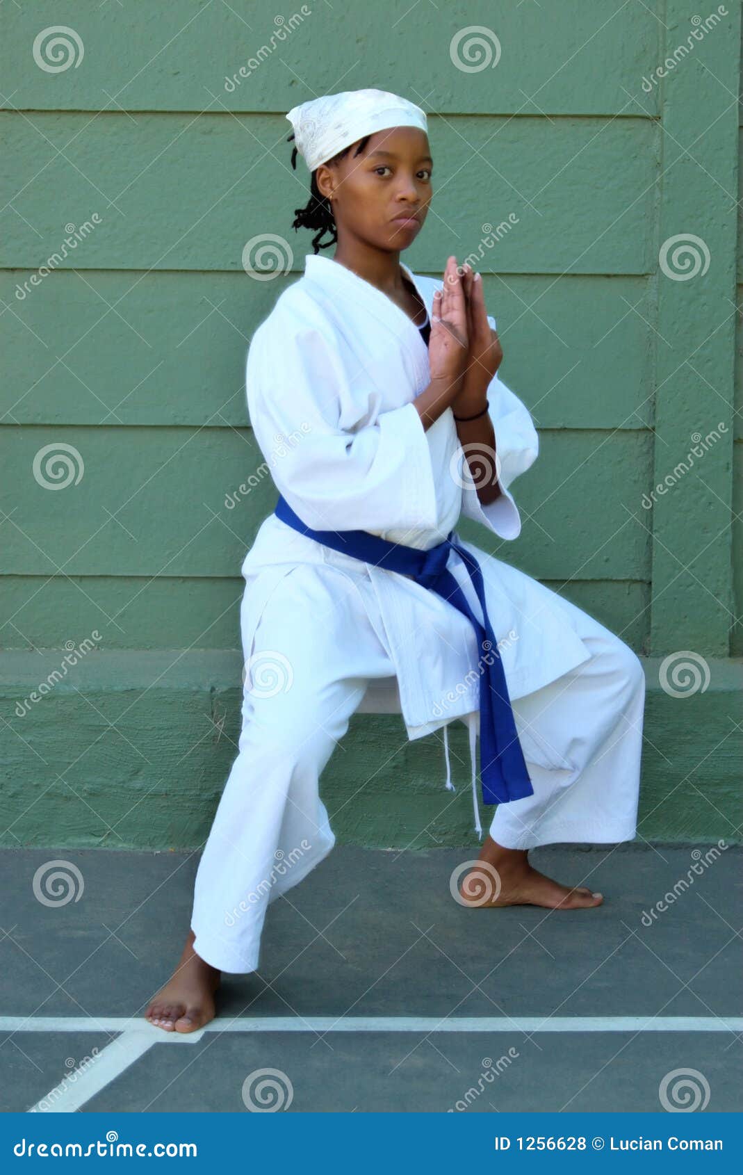 Karate Girl Royalty-Free Stock Image | CartoonDealer.com #17783398