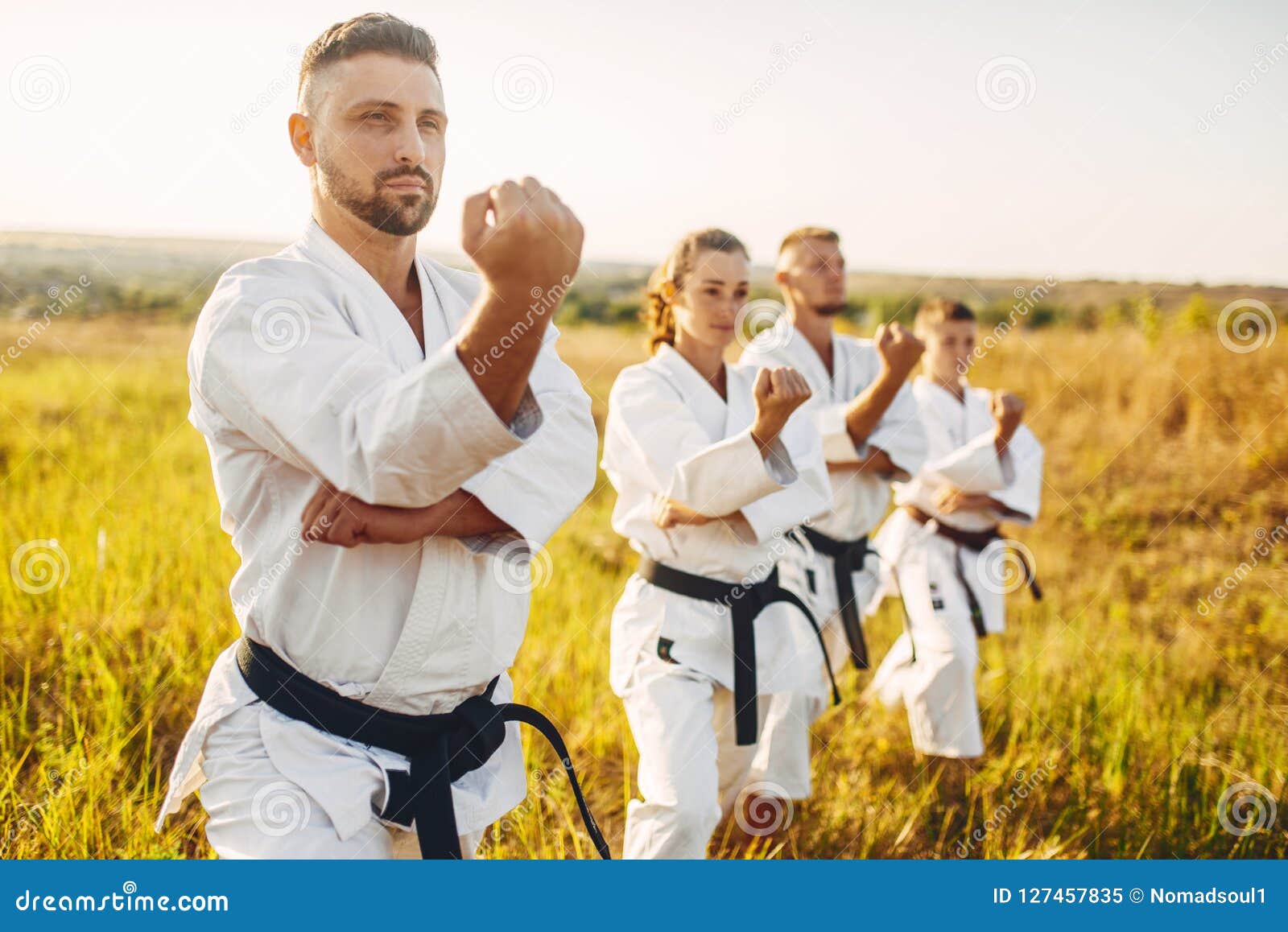 Karate Group on Training in Summer Field Stock Image - Image of fitness ...