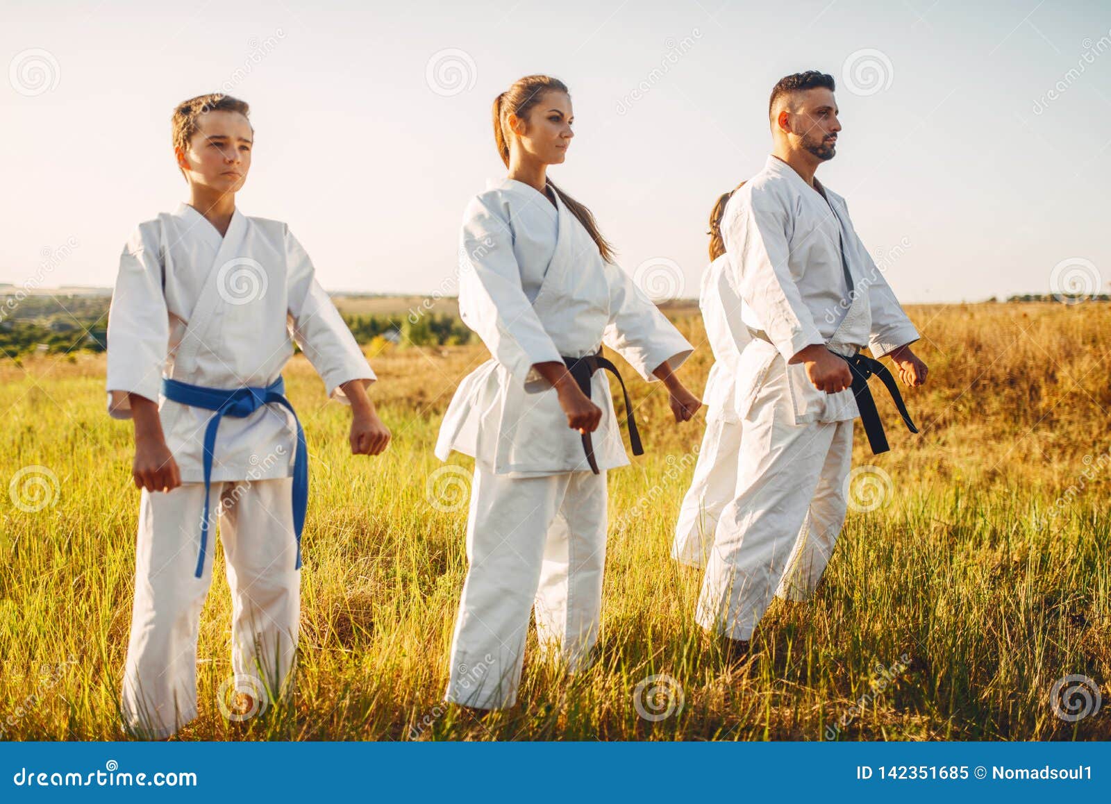 Karate Group on Training in Summer Field Stock Image - Image of coach ...