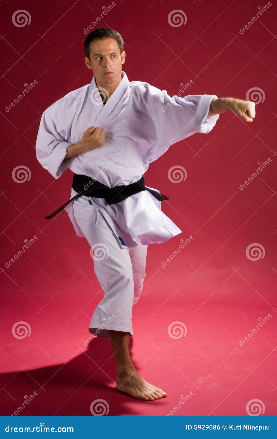 Karate Instructor stock photo. Image of martial, sports - 5929086
