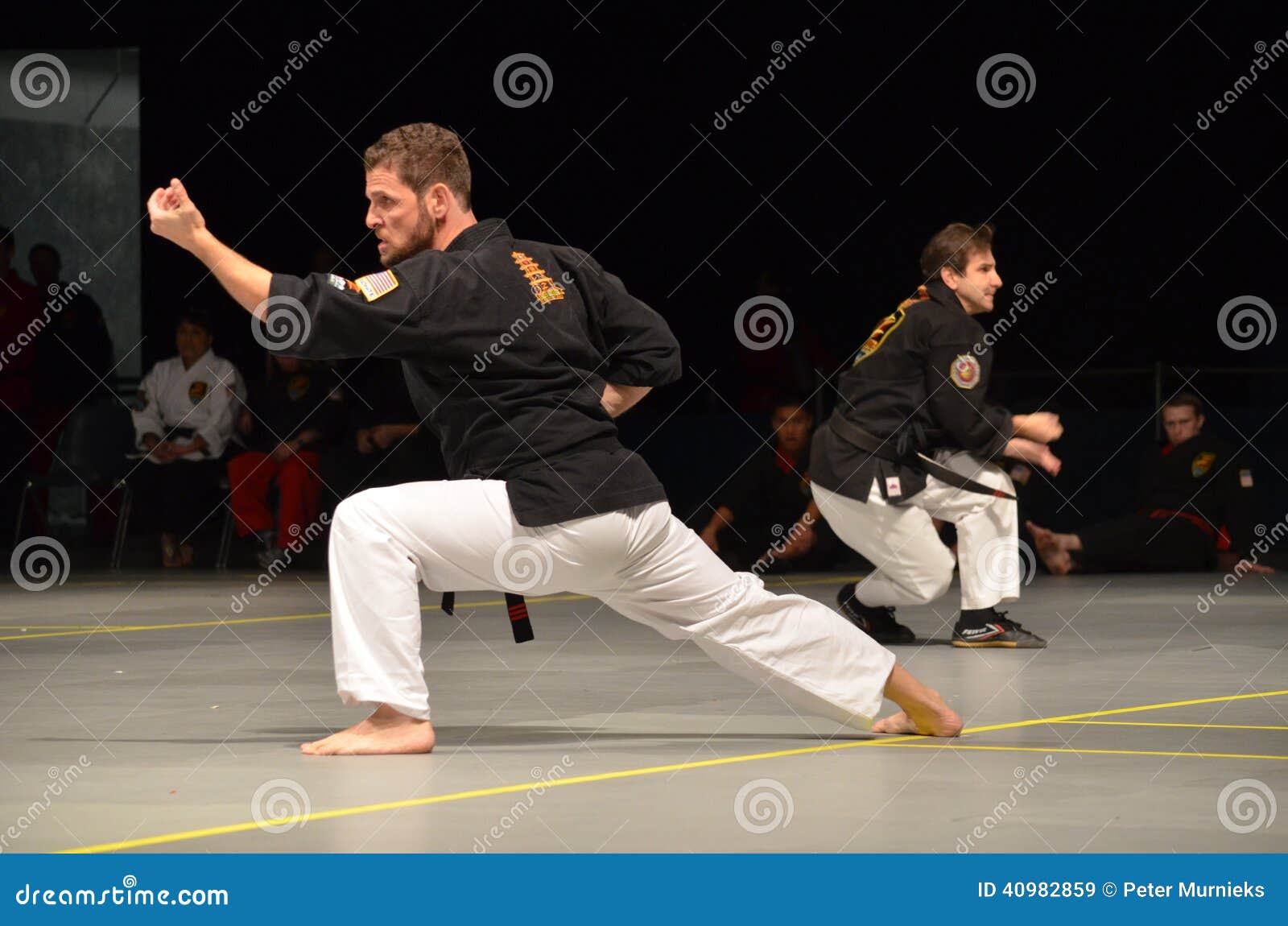 Karate Instructors Performing Editorial Stock Image - Image of ...