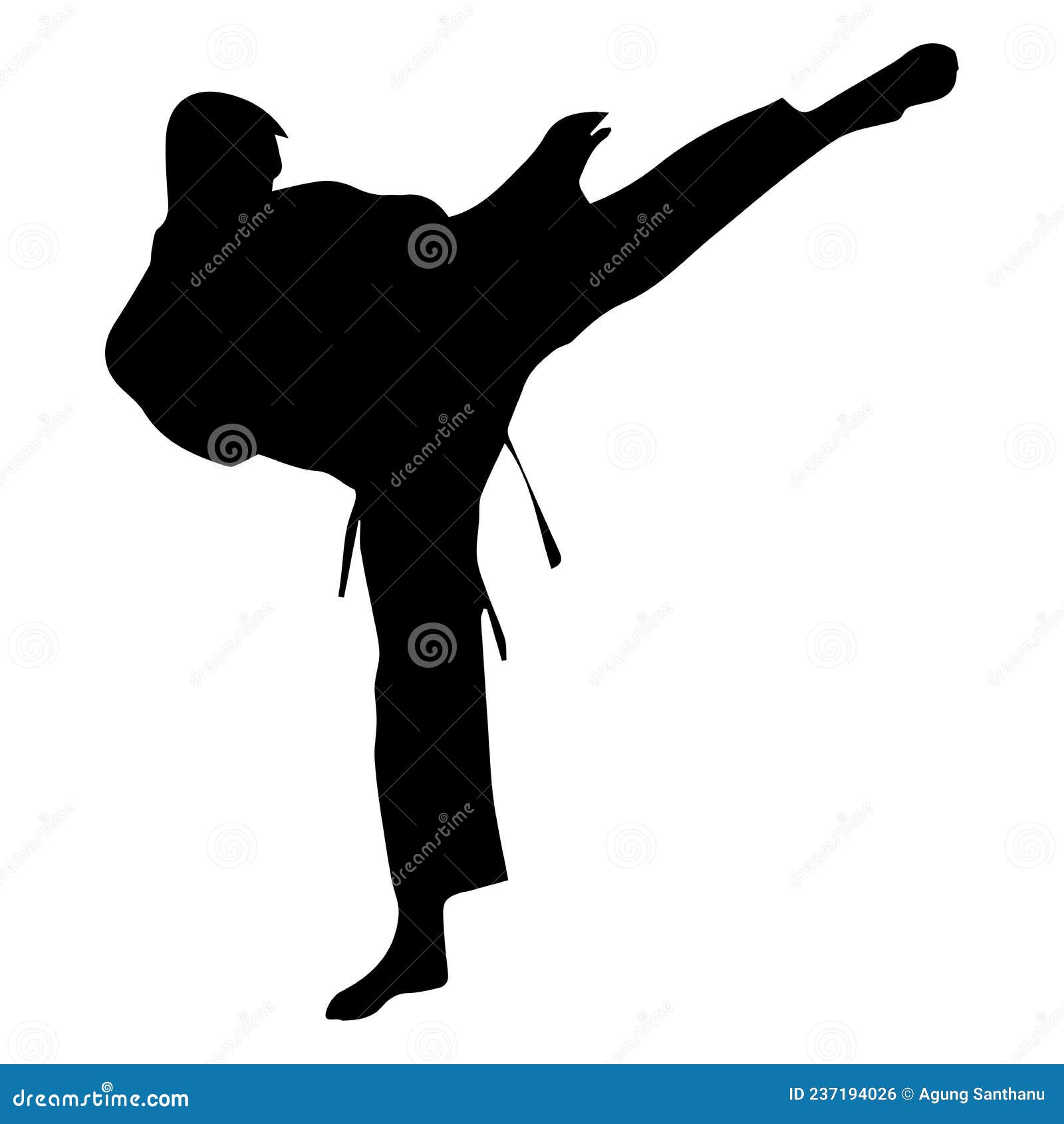 Karate Kata Silhouette Vector Art | CartoonDealer.com #237194026