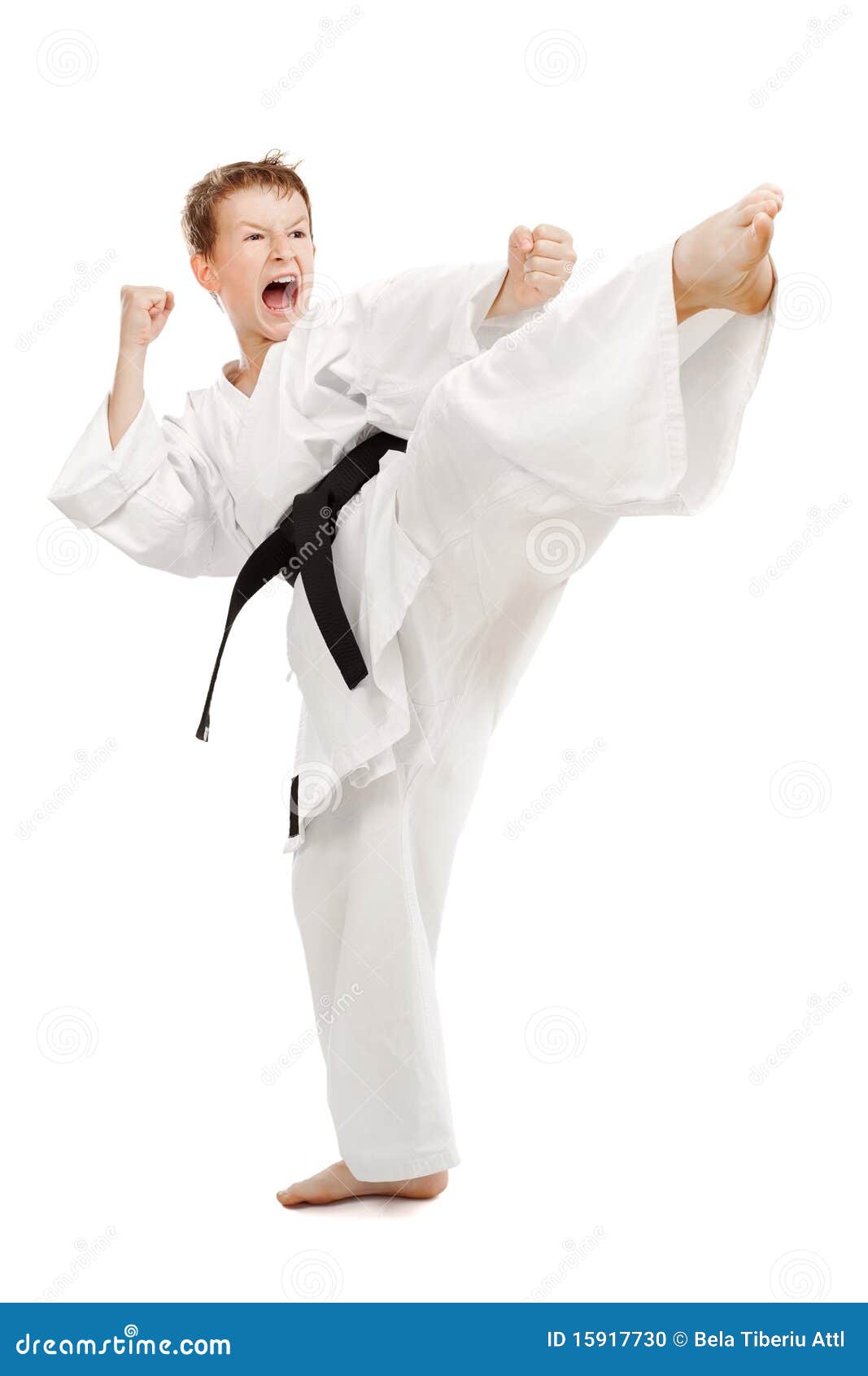 Karate Kick stock photo. Image of kick, karate, lifestyle - 15917730