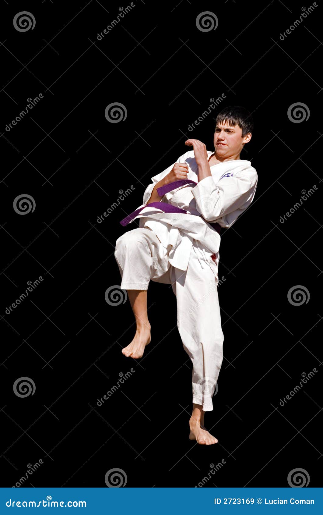 Karate kick stock image. Image of defense, posed, kick - 2723169