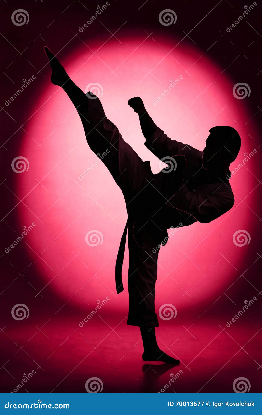 Karate kick stock image. Image of belt, practice, kimono - 70013677