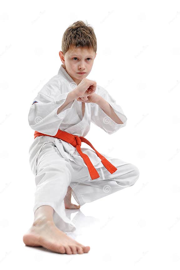Karate Kid stock image. Image of isolated, white, arts - 7830913