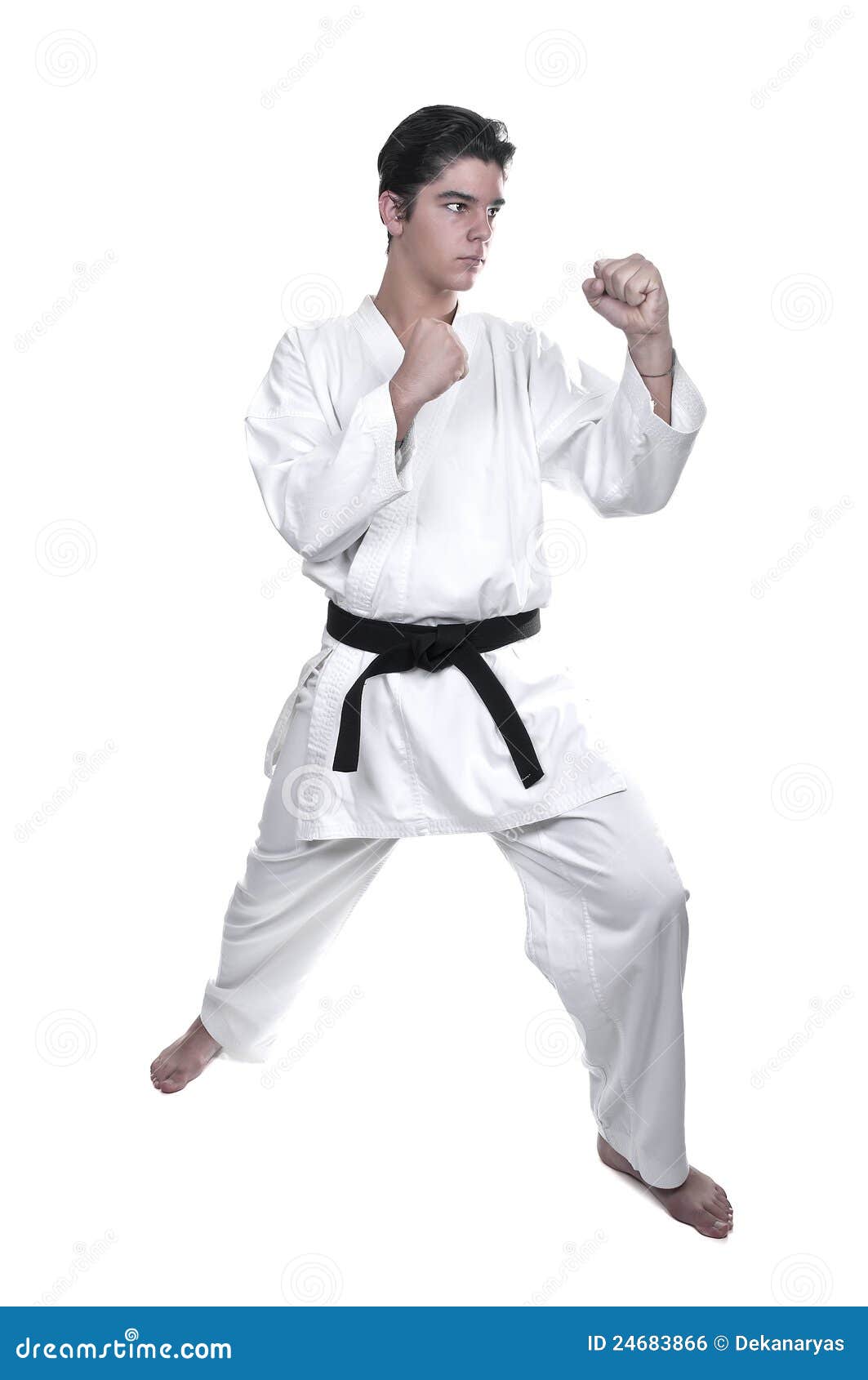 Karate Male Fighter Young High Contrast Stock Photography ...