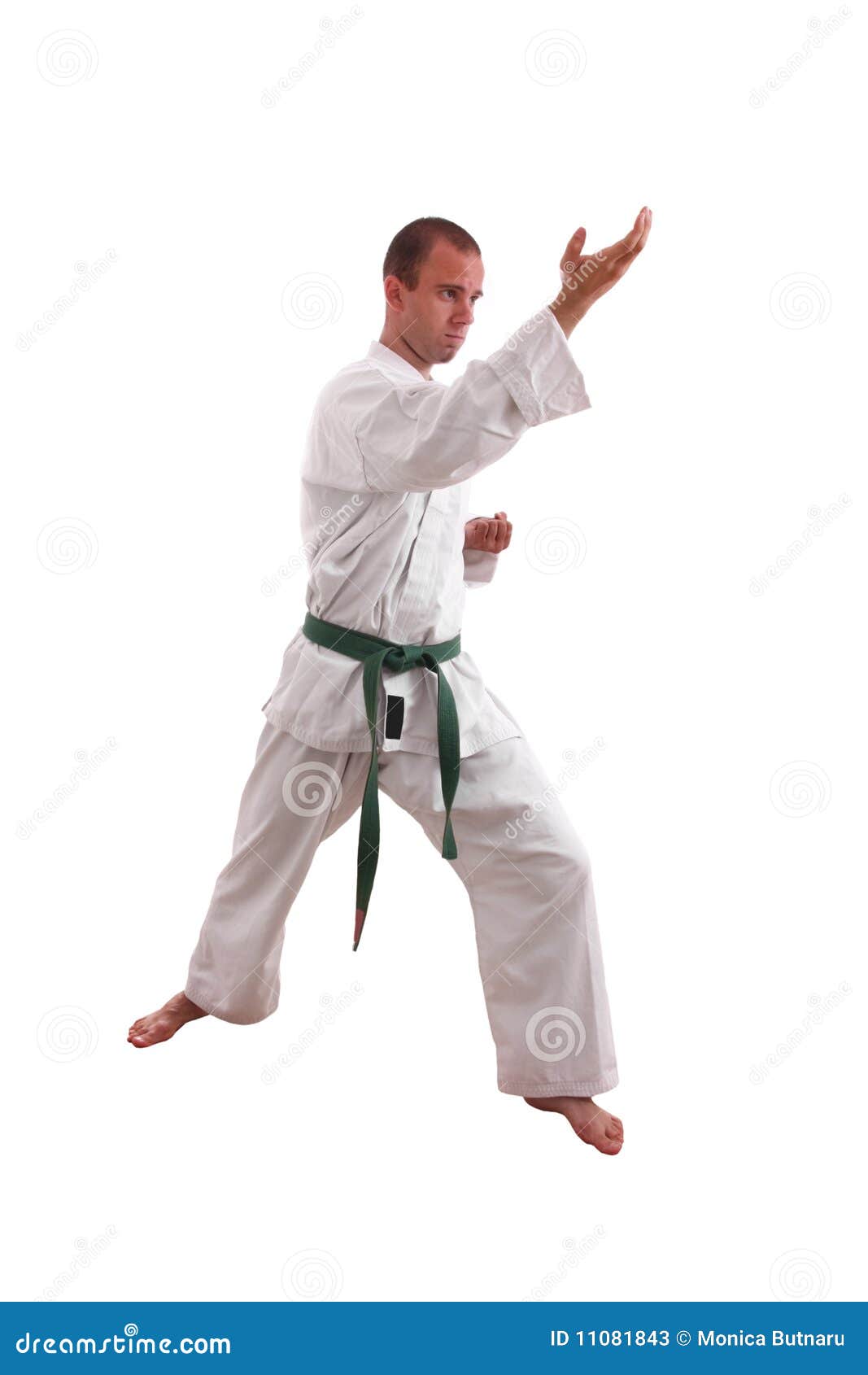 Karate man stock image. Image of sport, adult, skill - 11081843