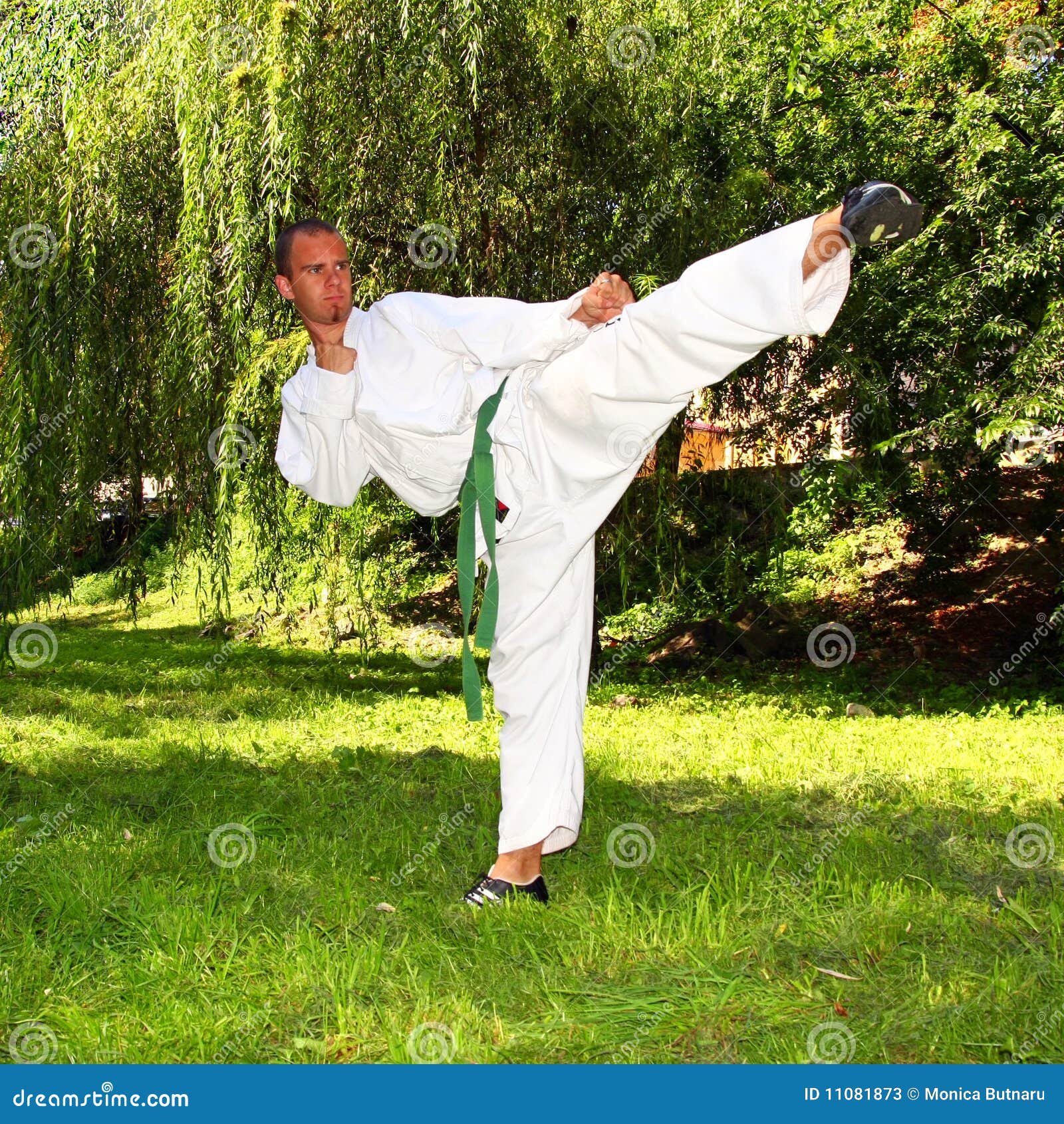 Karate man stock image. Image of black, judo, attack - 11081873