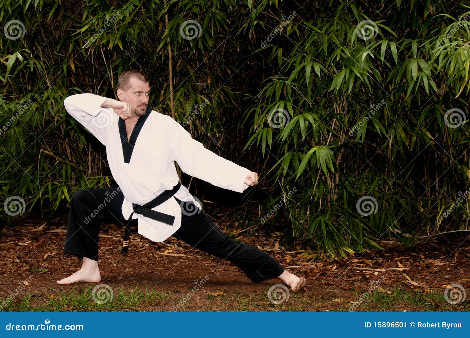 Karate Man stock image. Image of handsome, combative - 15896501