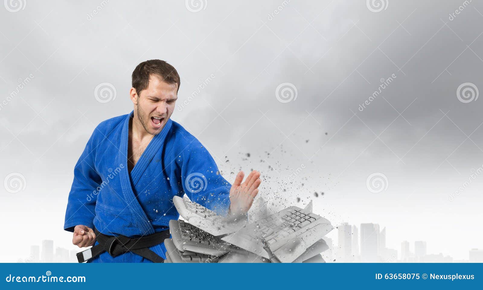 Karate Chop Bricks