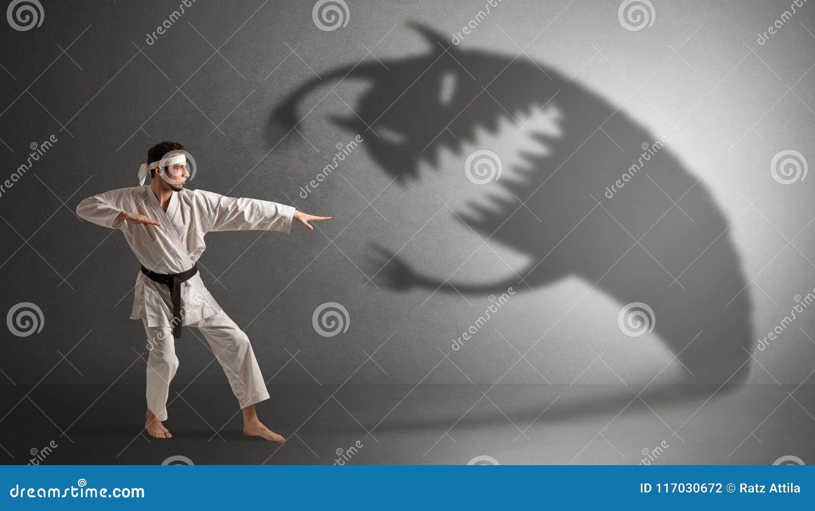 Karate Man Fighting with a Big Scary Shadow Stock Photo - Image of ...