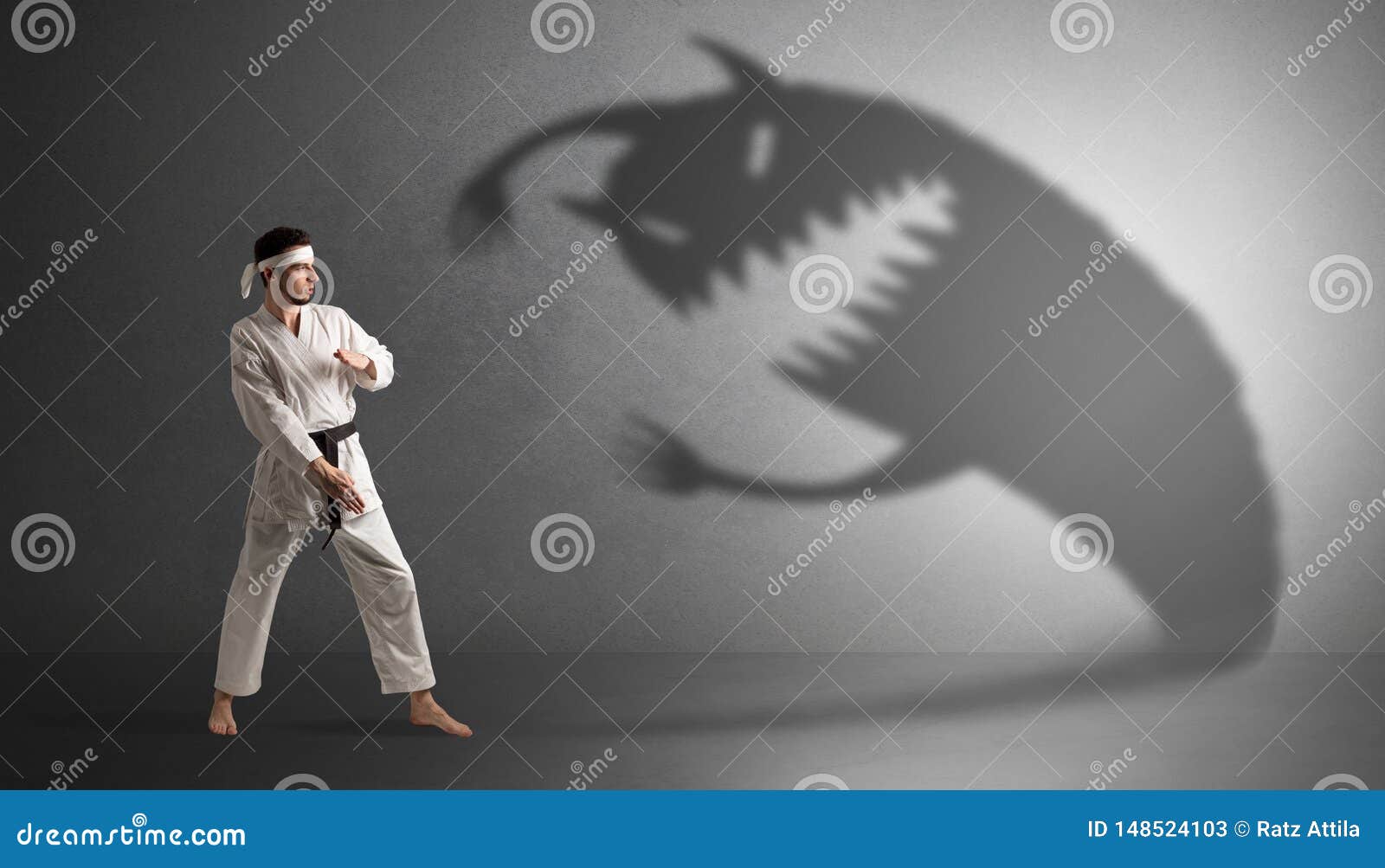 Karate Man Fighting with a Big Scary Shadow Stock Image - Image of ...