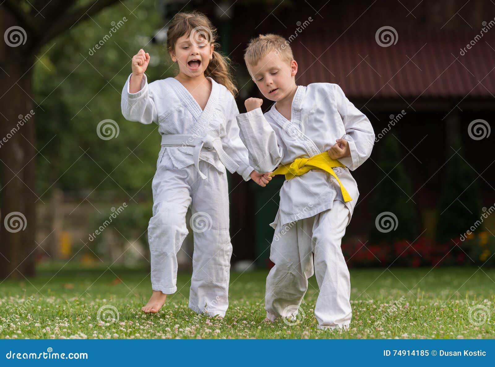 Karate martial Arts stock image. Image of hands, fighter - 74914185