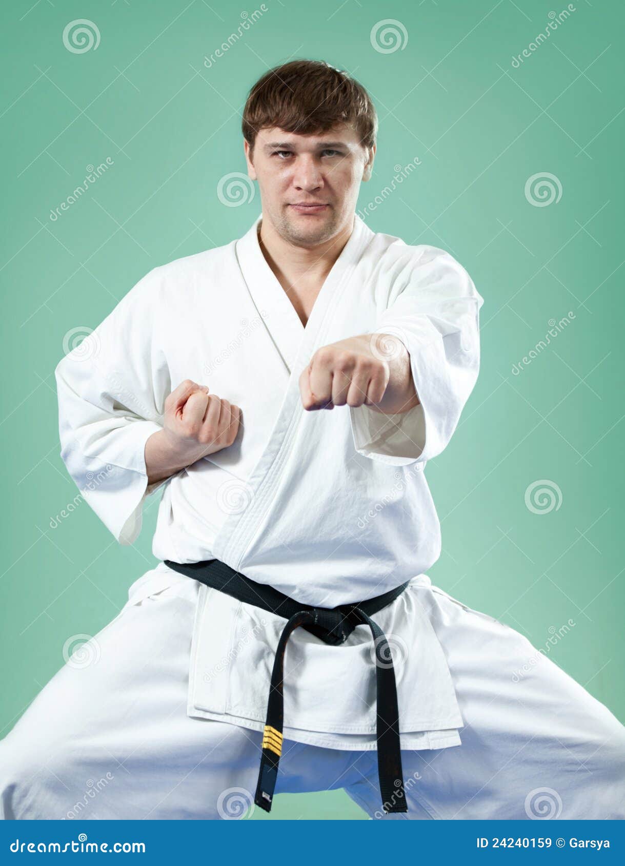 Karate master stock image. Image of position, strong - 24240159