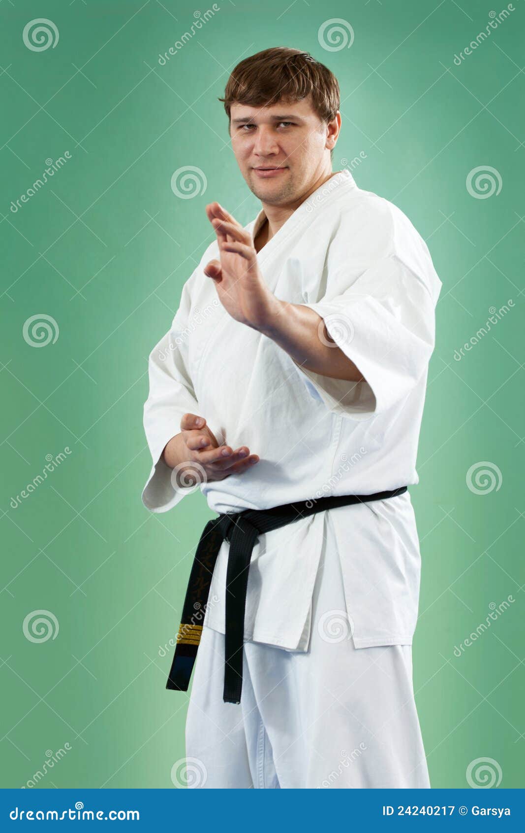 Karate master stock image. Image of coach, japanese, showing - 24240217