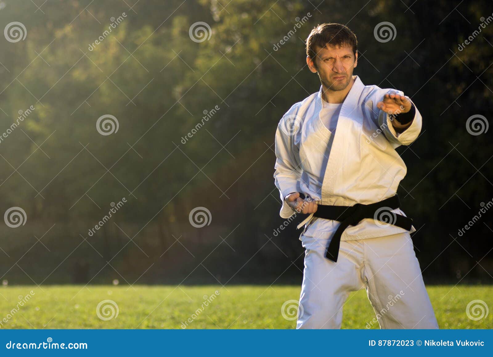 Karate master outdoors stock image. Image of master, park - 87872023