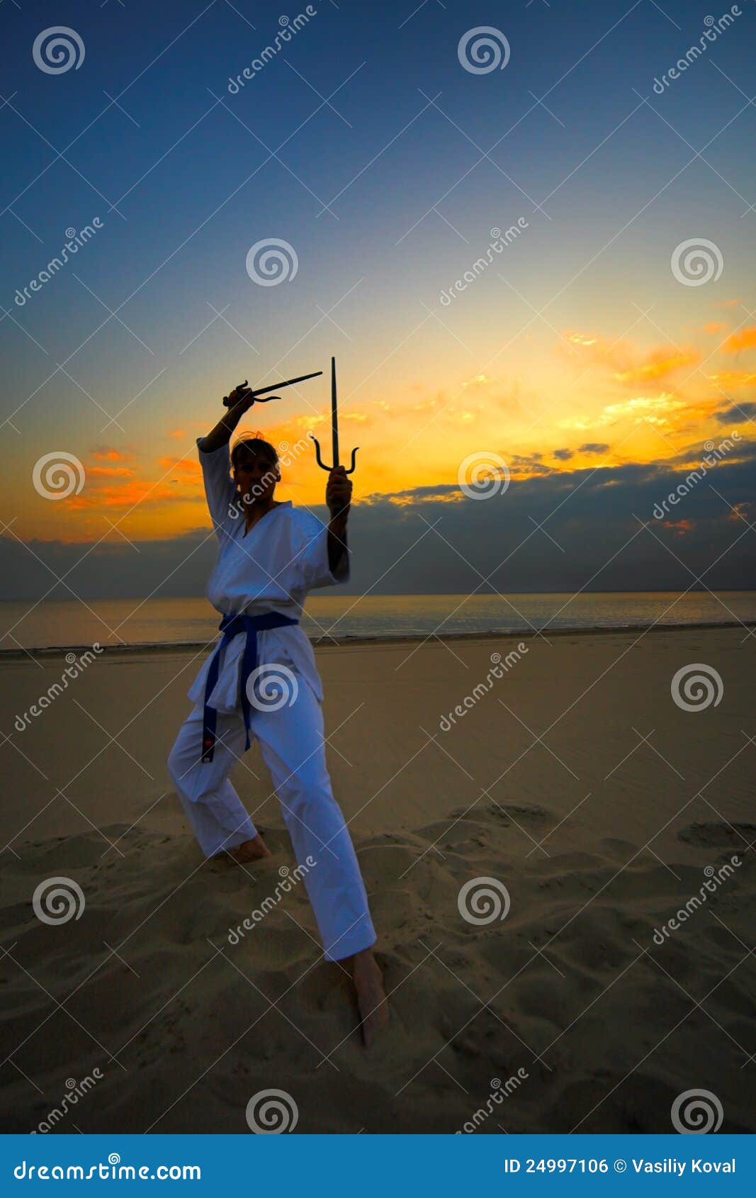 Karate Op Zonsondergangstrand Stock Foto - Image of riem, lichaam: 24997106