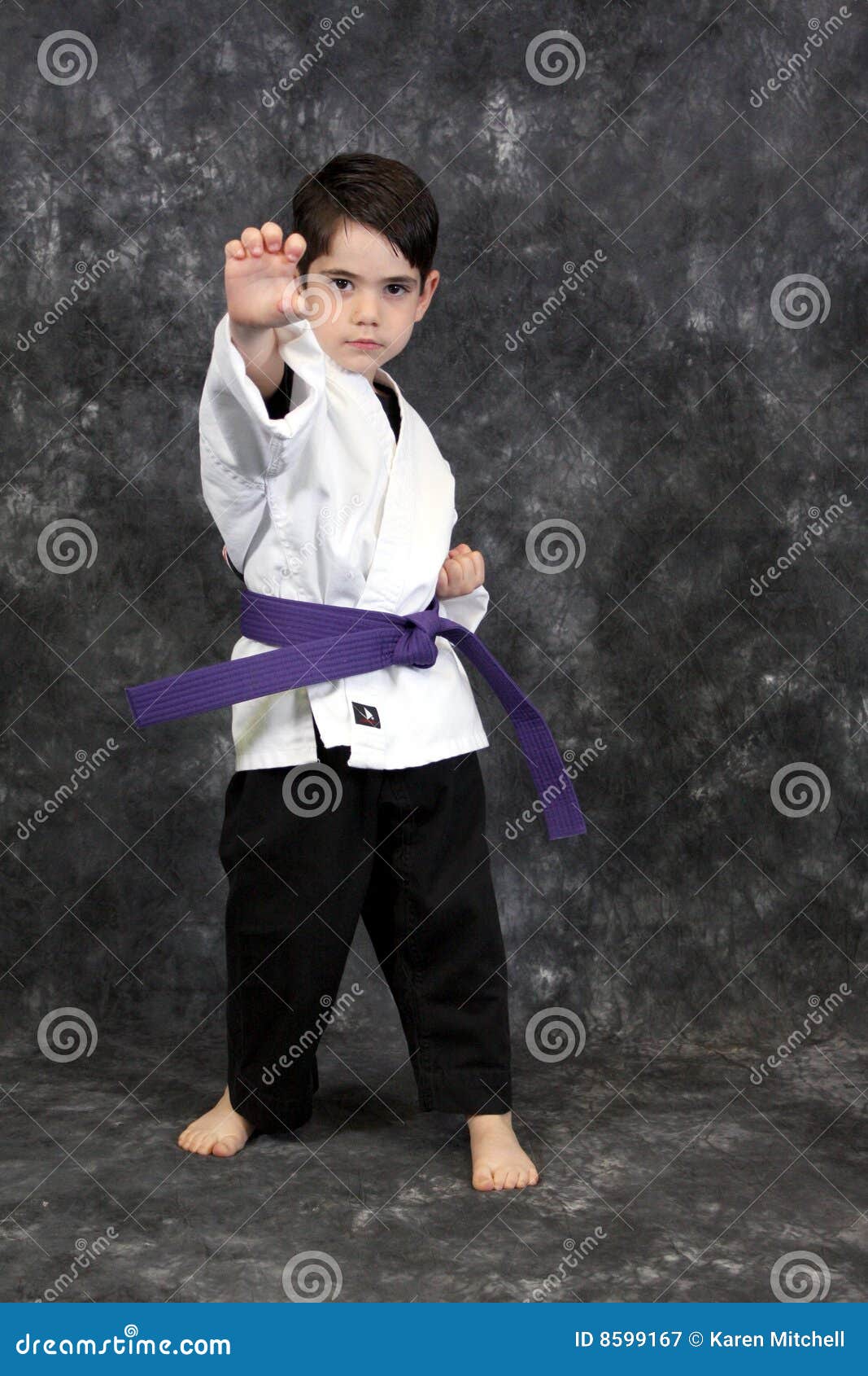 Karate palm heel strike stock image. Image of fighter - 8599167