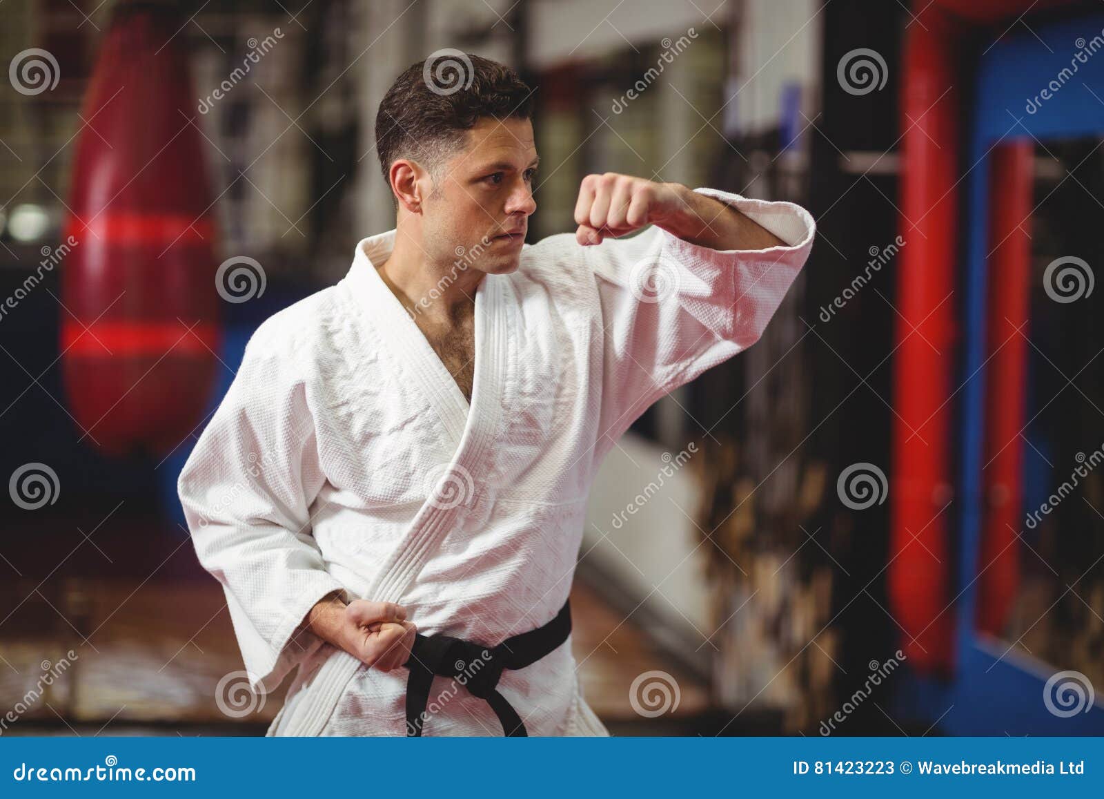 Karate Player Performing Karate Stance Stock Image - Image of accuracy ...