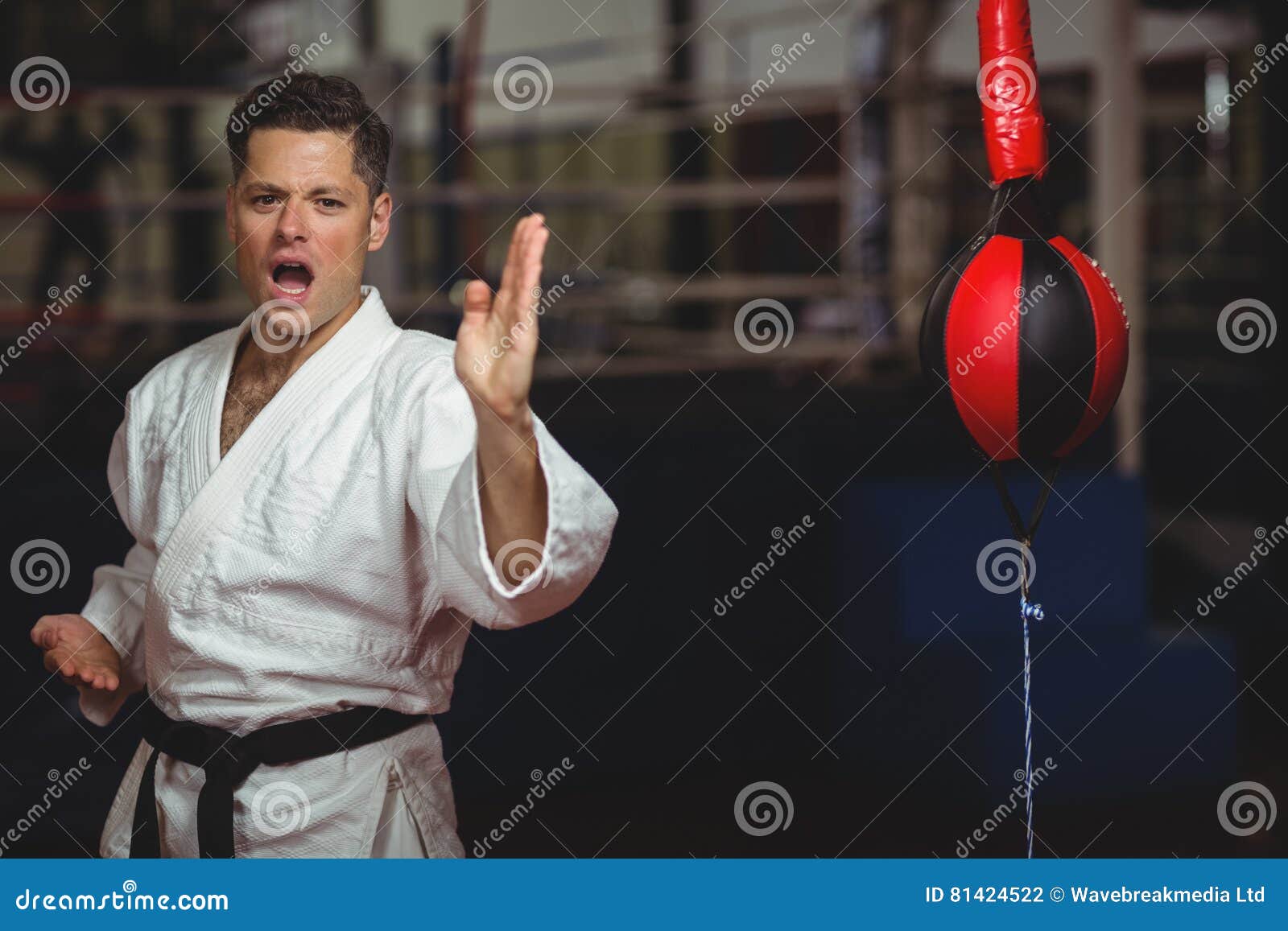 Karate Player Performing Karate Stance Stock Photo - Image of ...
