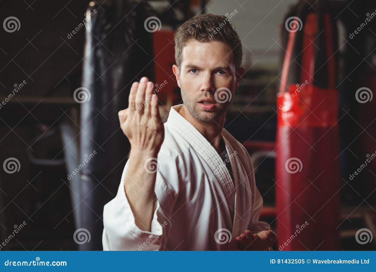 Karate Player Performing Karate Stance Stock Image - Image of ...