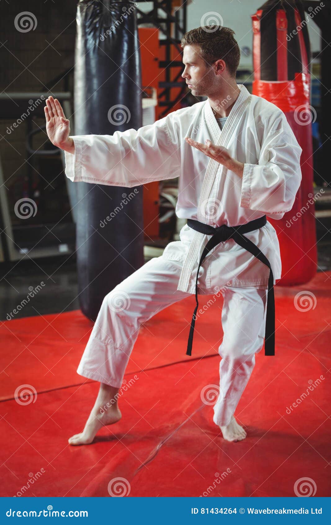 Karate Player Performing Karate Stance Stock Photo - Image of ...