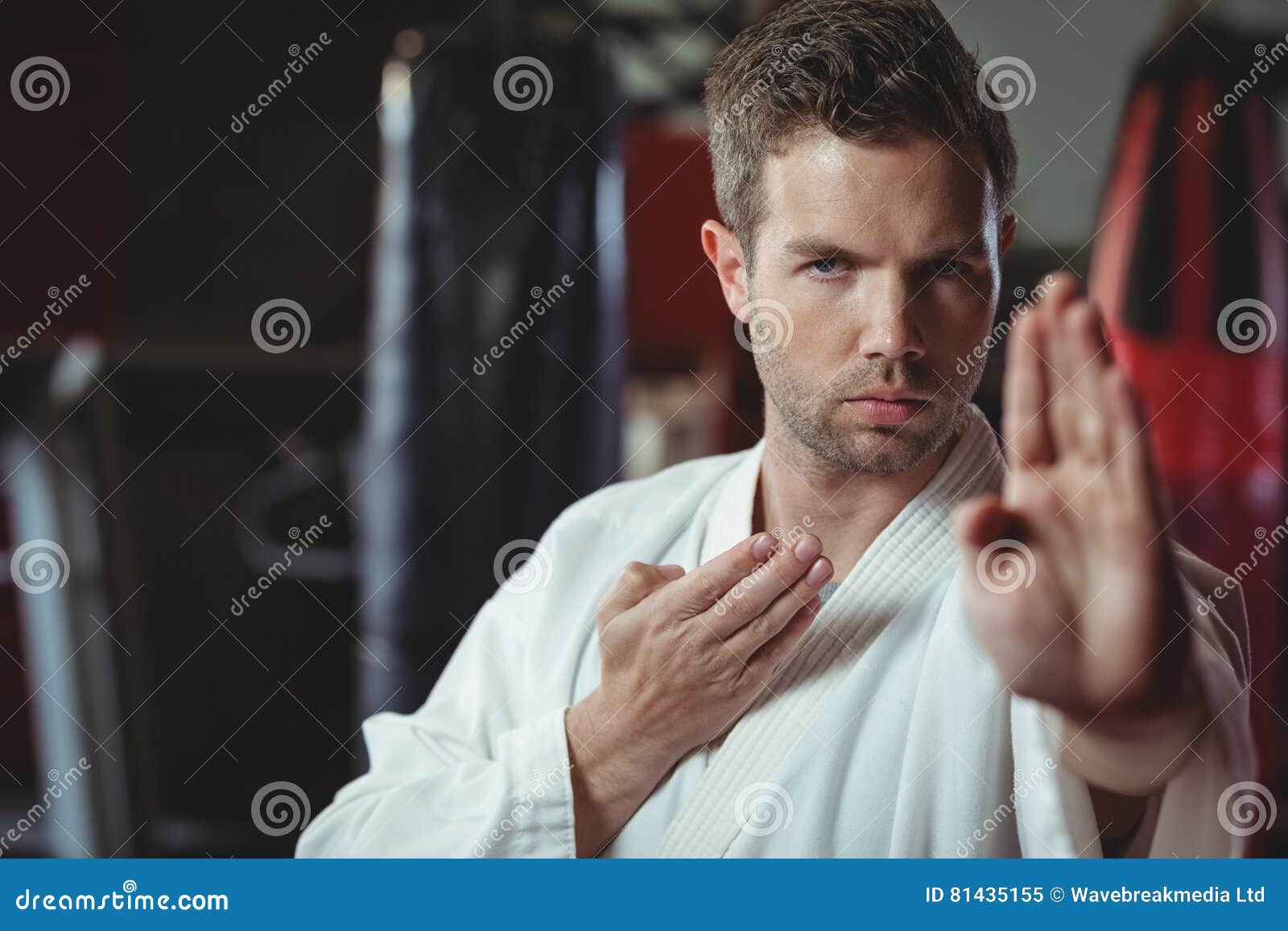 Karate Player Performing Karate Stance Stock Image - Image of fitness ...