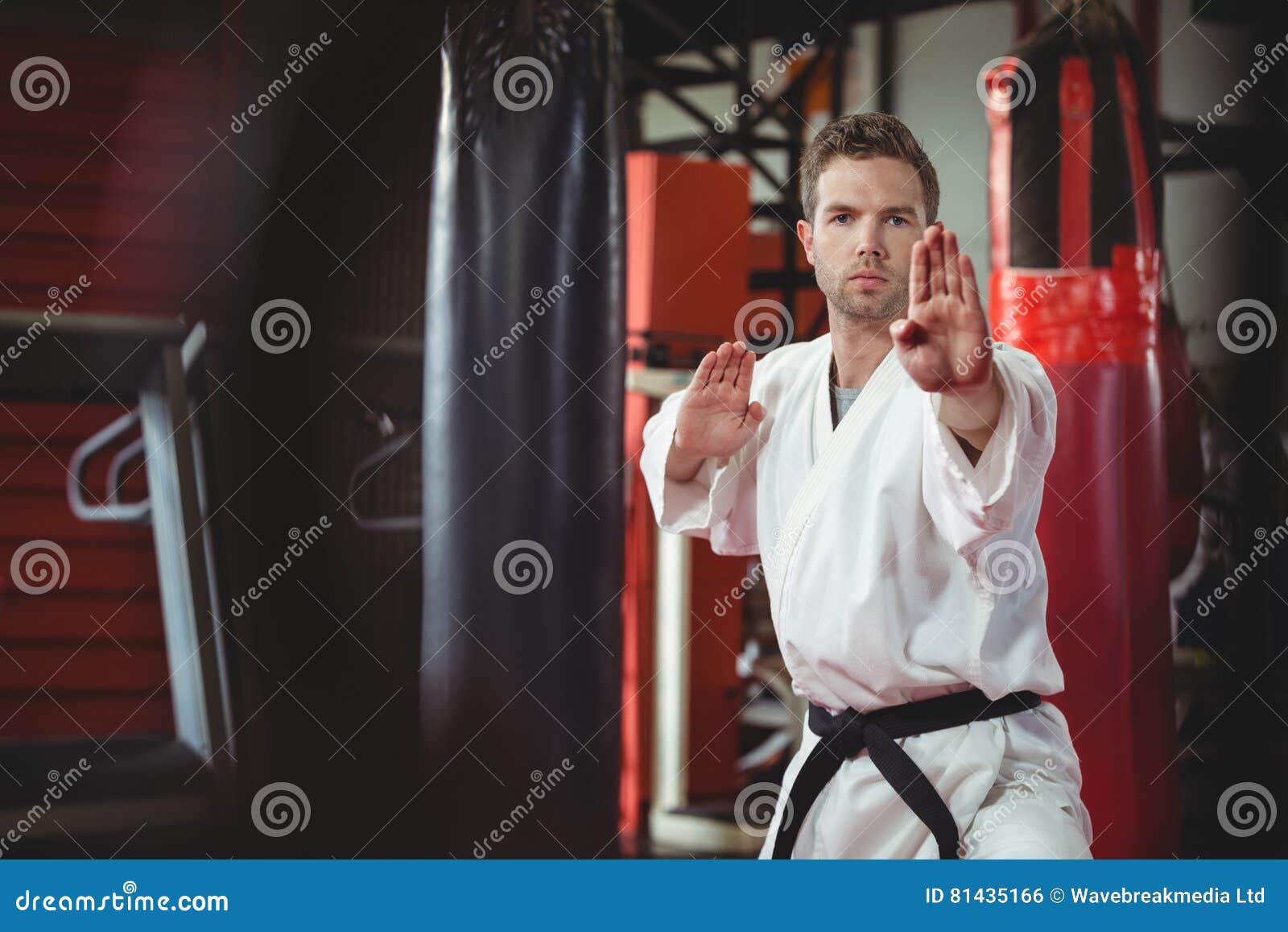 Karate Player Performing Karate Stance Stock Photo - Image of ...