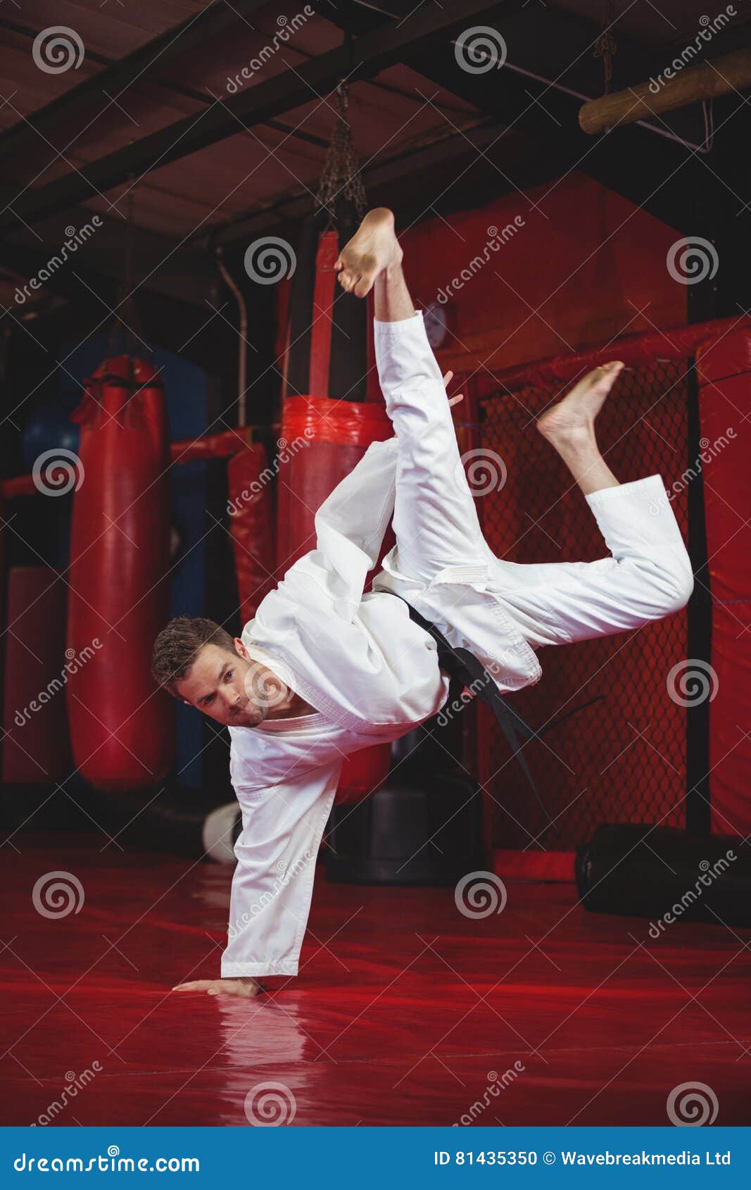 Karate Player Performing Karate Stance Stock Photo - Image of posing ...