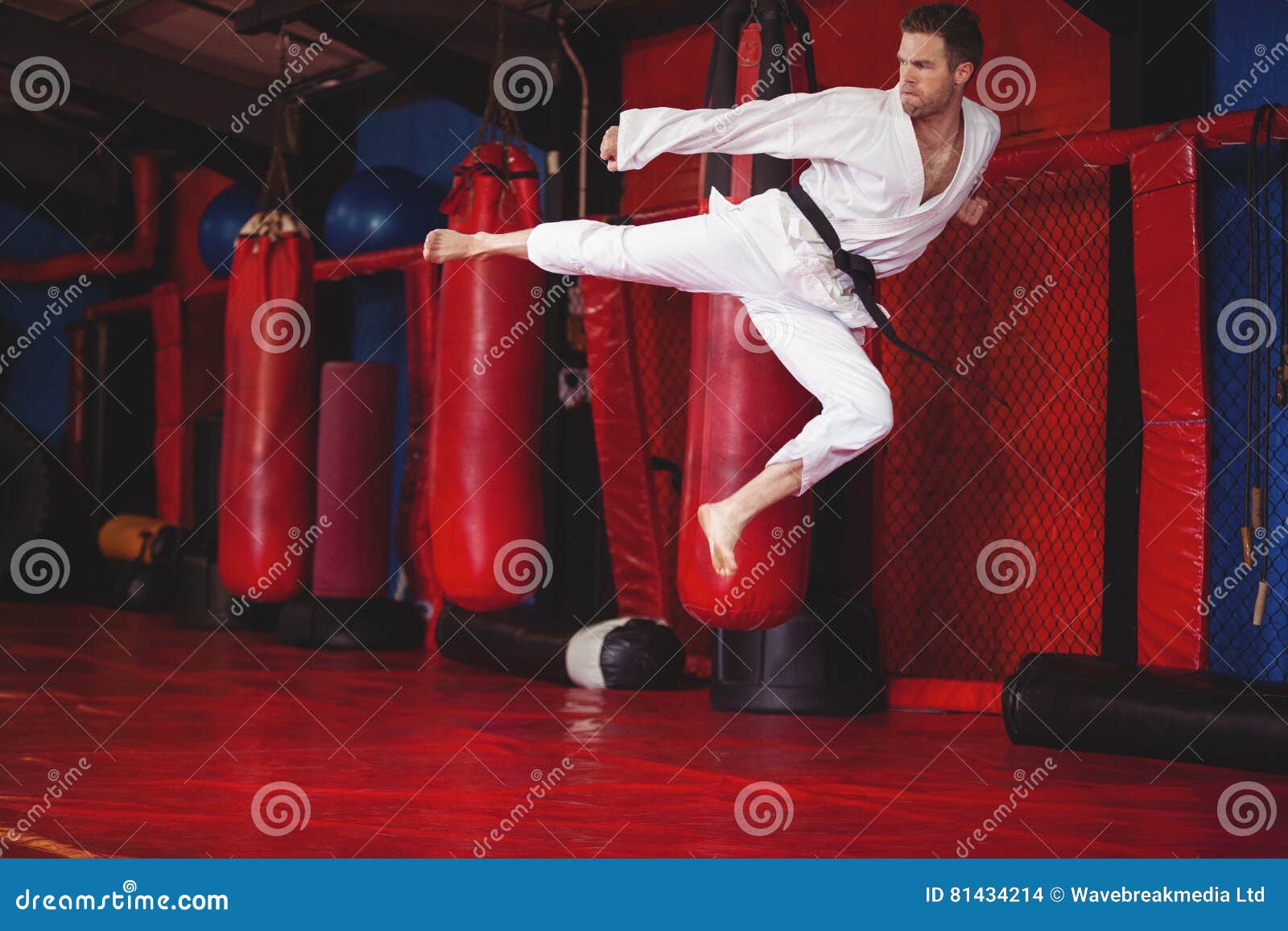 Karate Player Performing Kickboxing Stock Photo - Image of active ...
