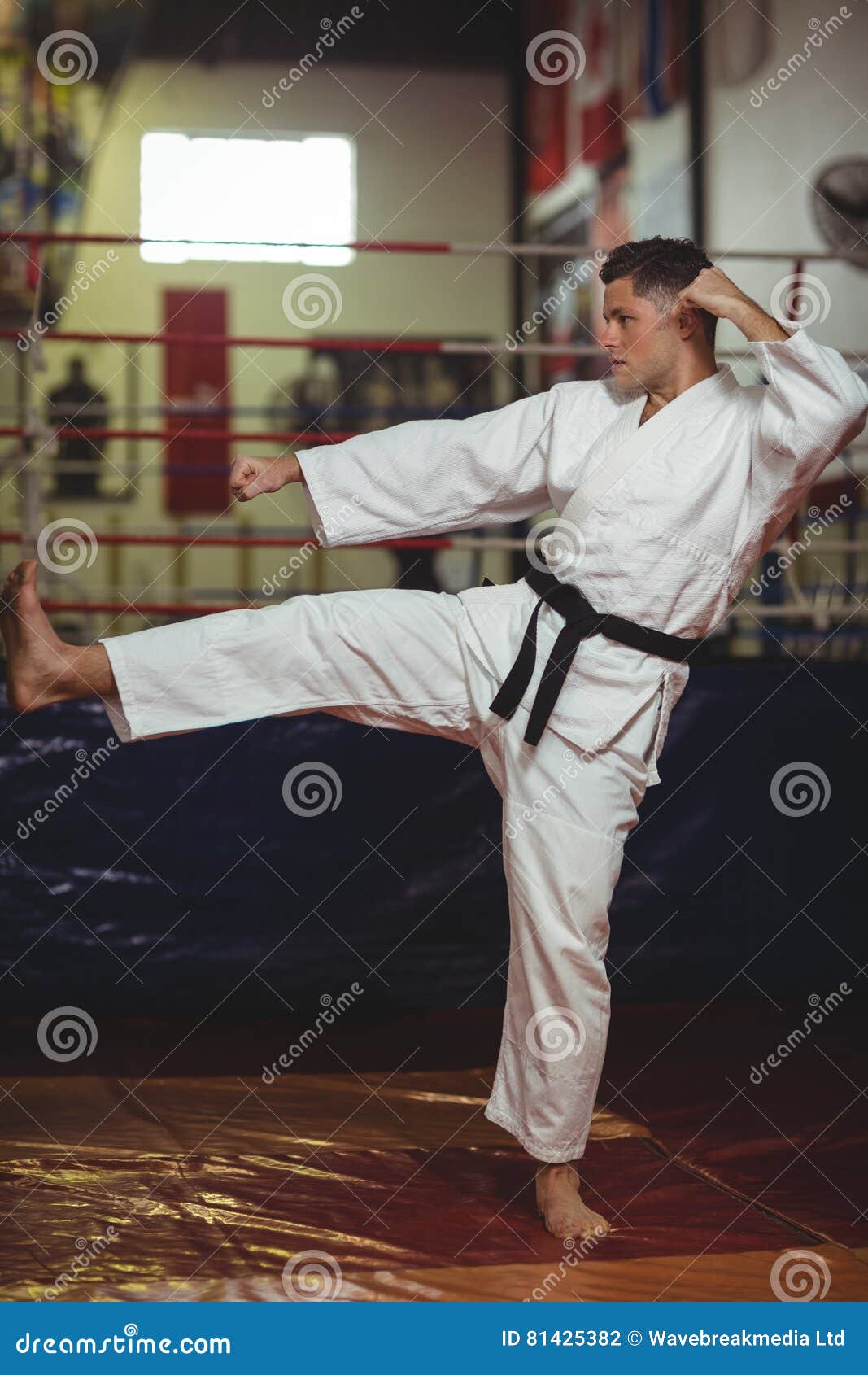 Karate Player Practicing Karate Stance Stock Photo - Image of ...