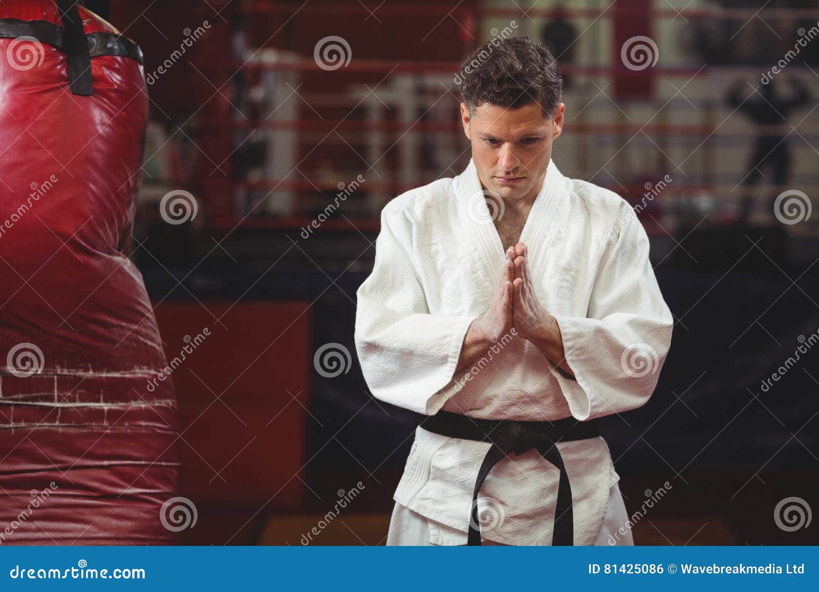 Karate Player in Prayer Pose Stock Photo - Image of belt, black: 81425086
