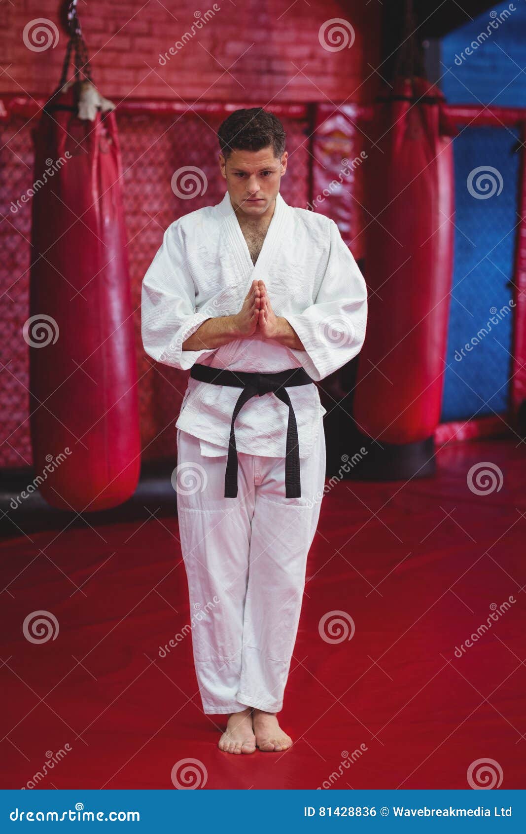Karate Player Standing in Prayer Pose Stock Photo - Image of healthy ...