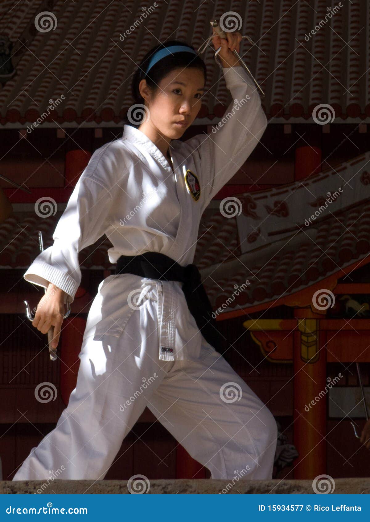 Karate Pose editorial photography. Image of park, shorin - 15934577