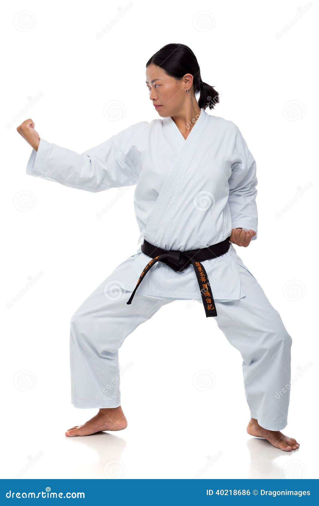 Karate position stock photo. Image of posture, adult - 40218686